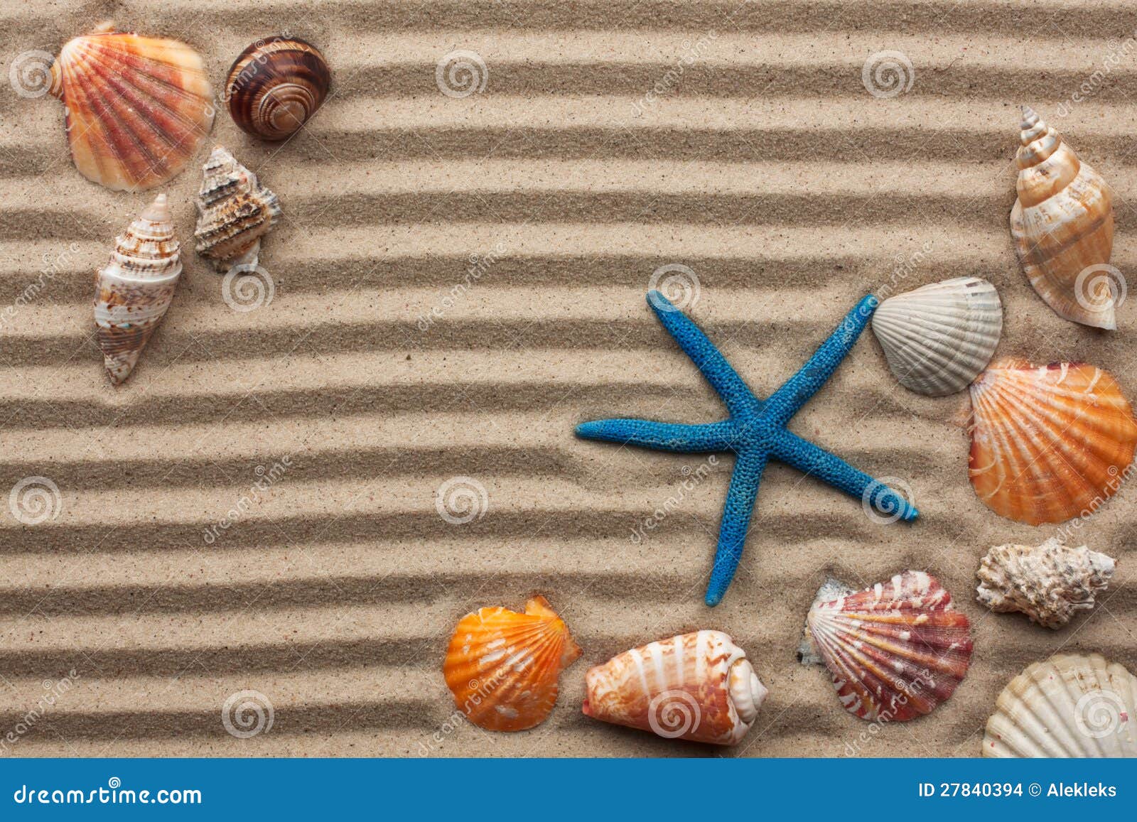 Sea shells with sand stock photo. Image of tropical, starfish - 27840394