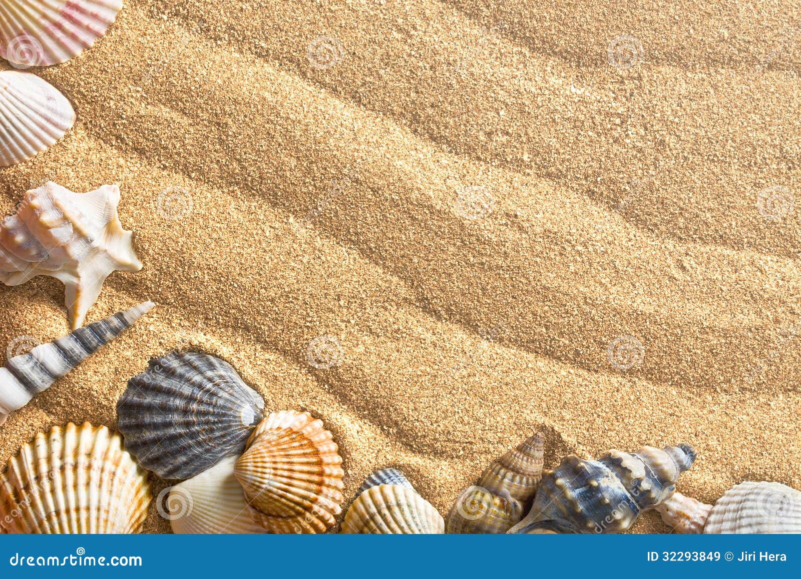 Sea shells on sand stock image. Image of seashore, border - 32293849