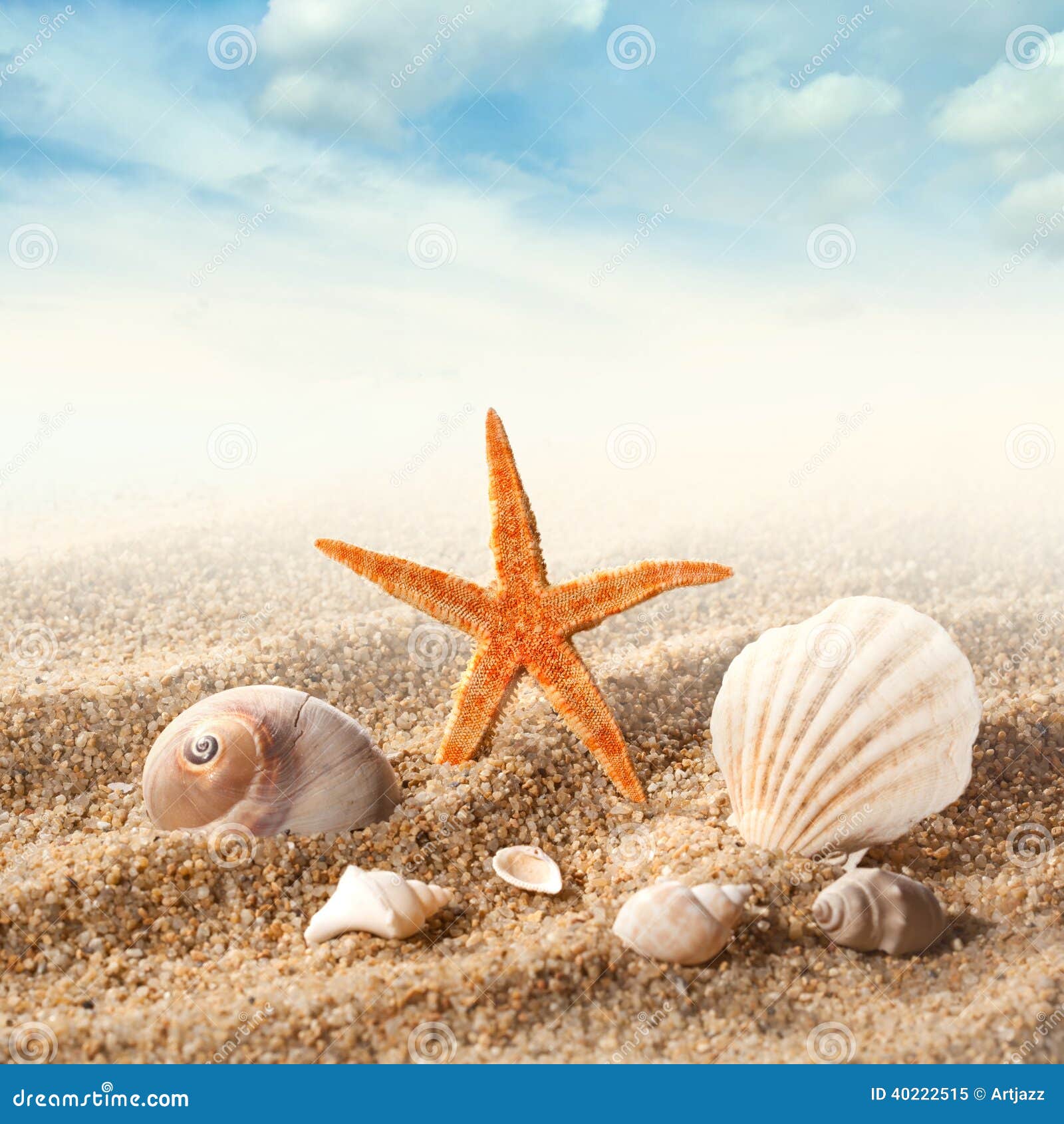 Sea Shells on the Sand Against Sky Stock Image - Image of coastline ...