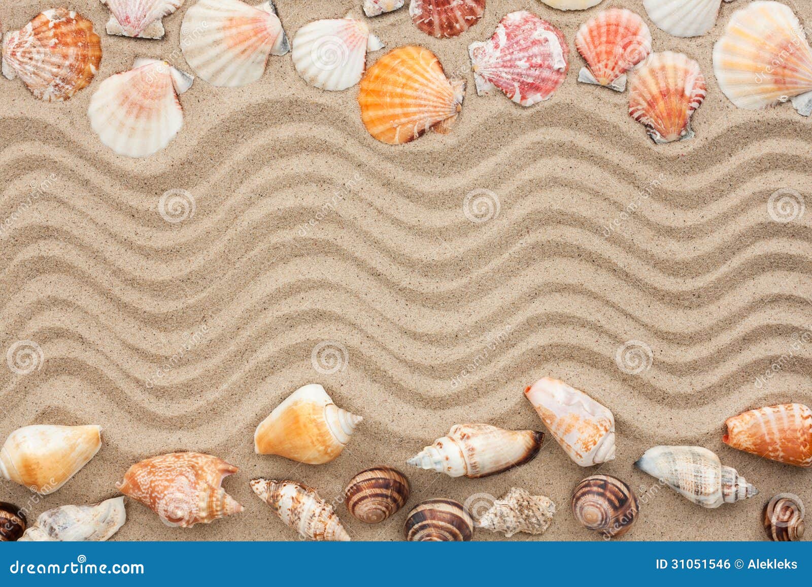 Sea Shells with Sand As Background Stock Photo - Image of macro, shell ...