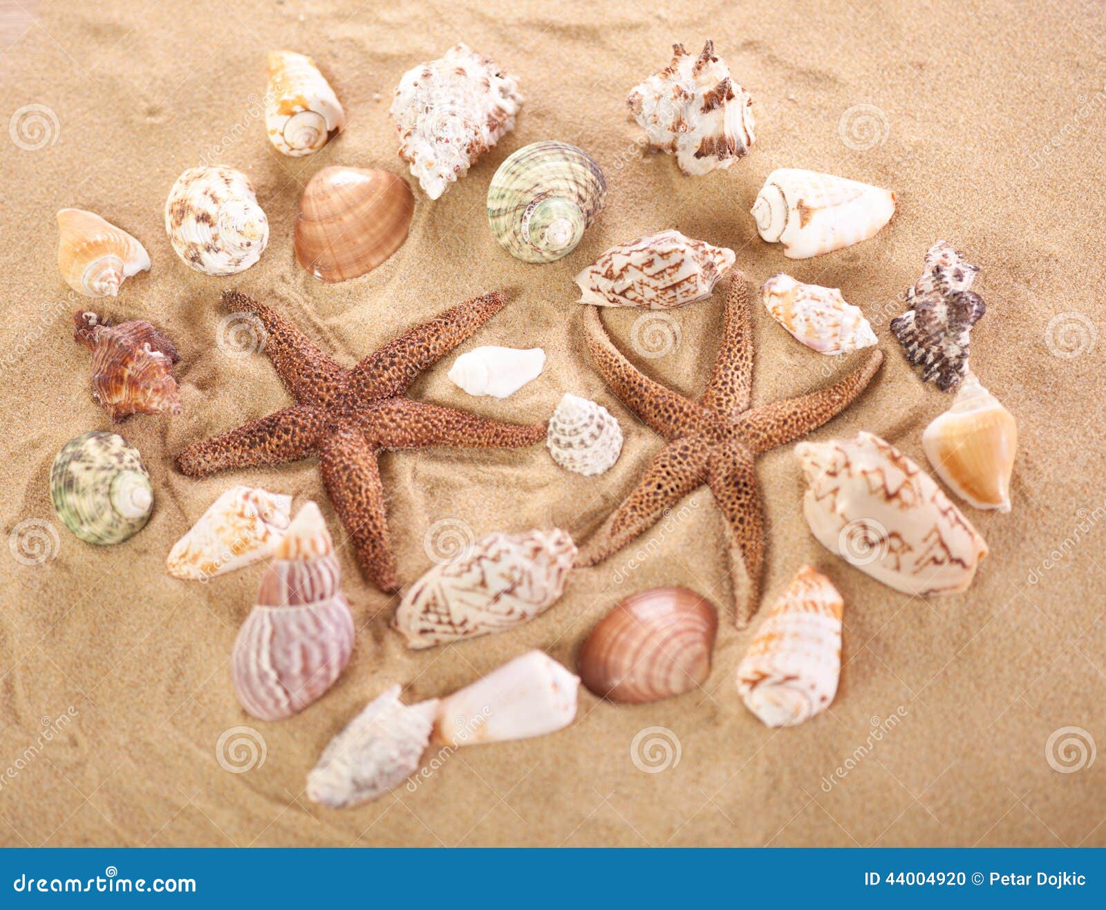 Sea Shells with Sand As Background Stock Photo - Image of beach ...