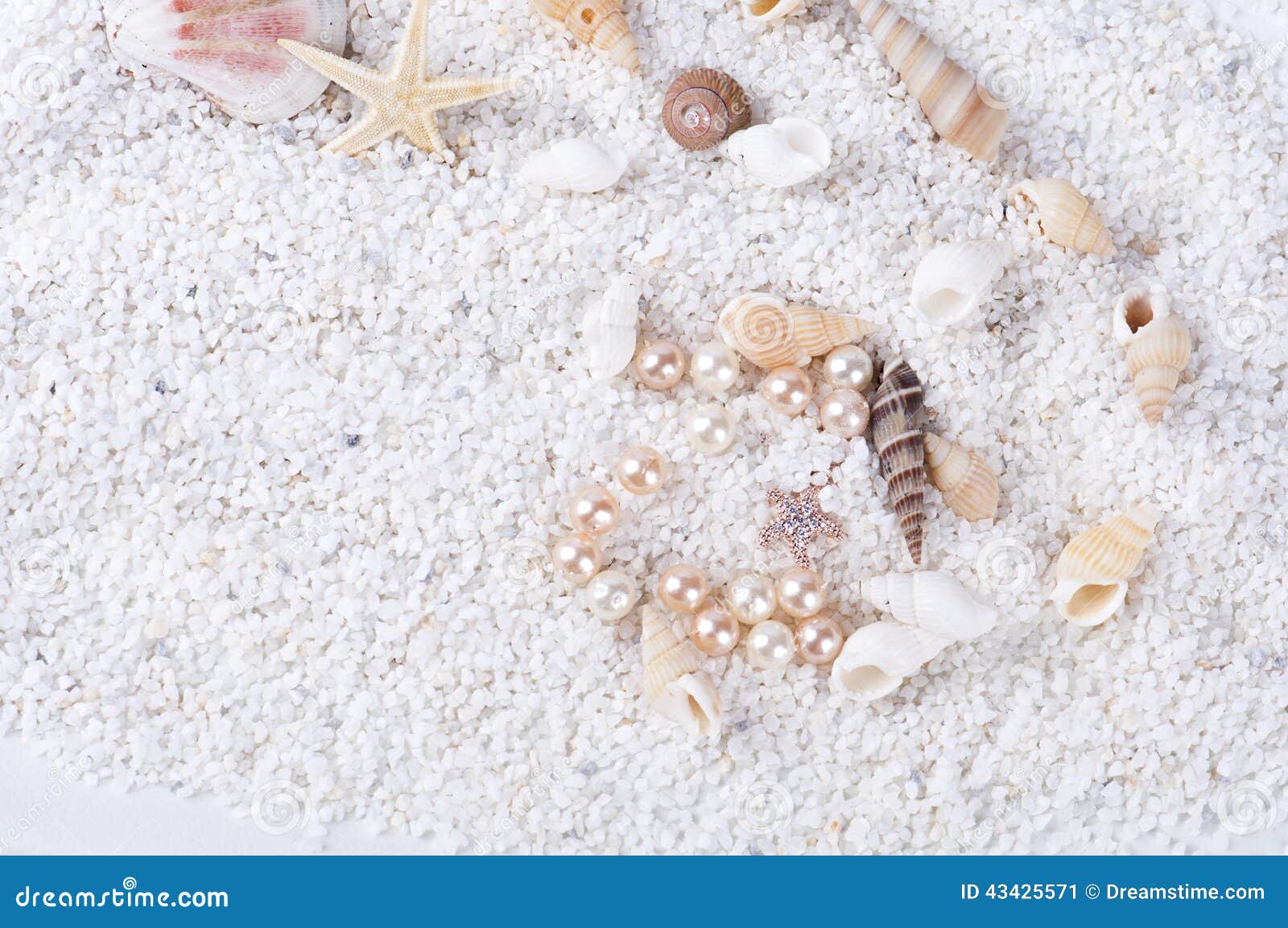 Sea shells on the sand stock image. Image of bunch, sand - 43425571