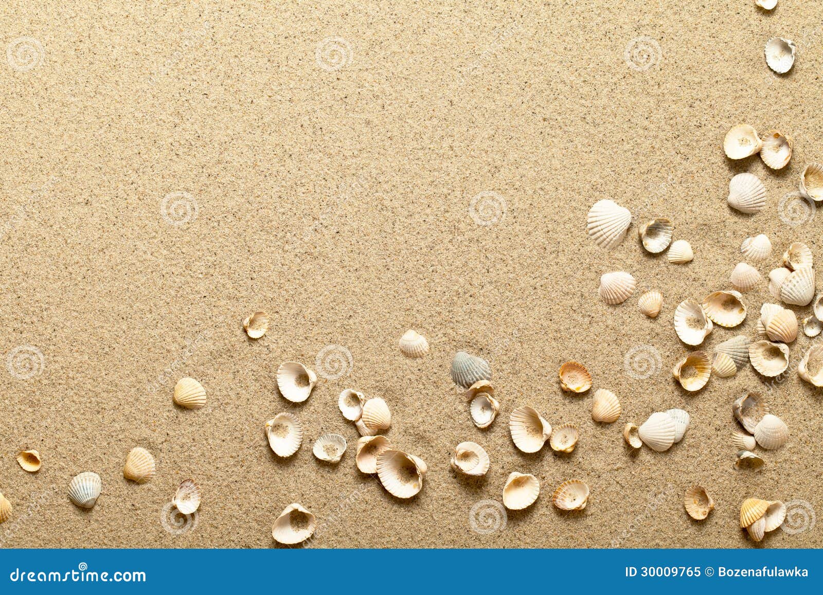 Shells on Sand stock image. Image of clean, barren, outdoor - 30009765