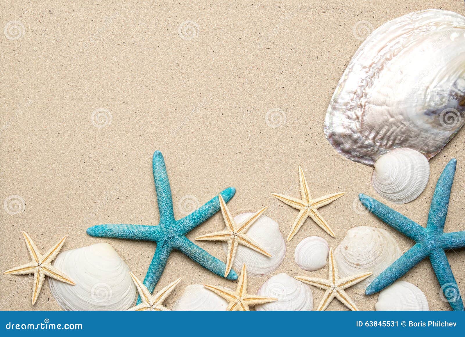 Shell Beach. Texture Of Thousands Seashells, Background For A Post ...