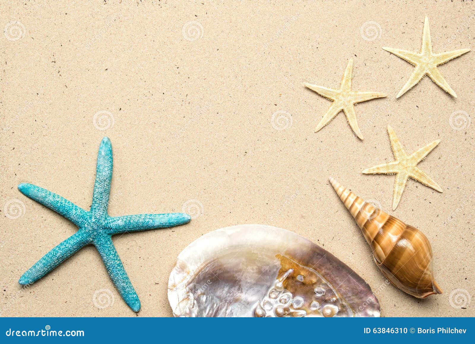 Sea Shells on Sand. Summer Beach Background. Top View Stock Photo ...