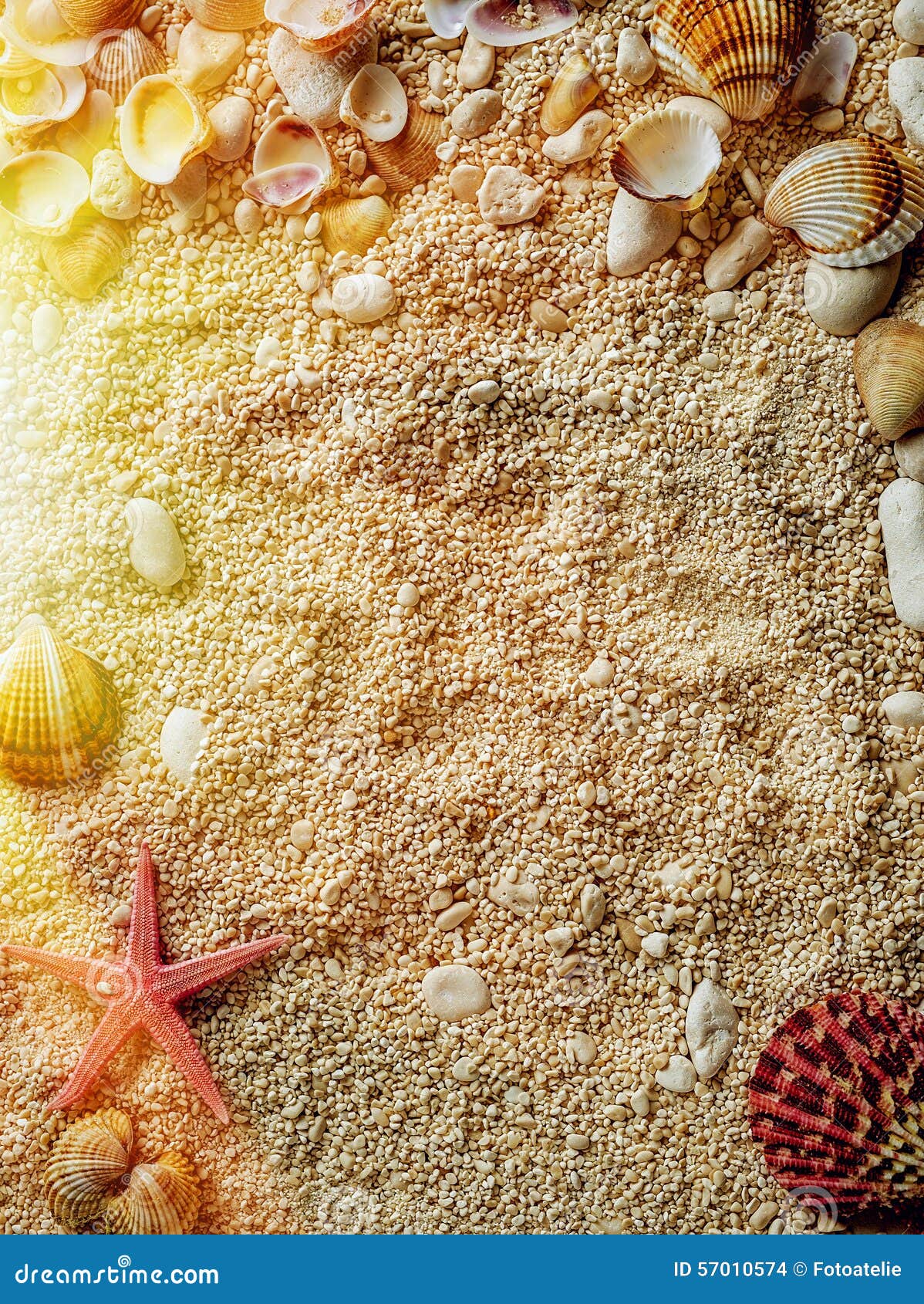 Sea Shells on the Sea Pebbles Stock Photo - Image of inspiration, beach ...