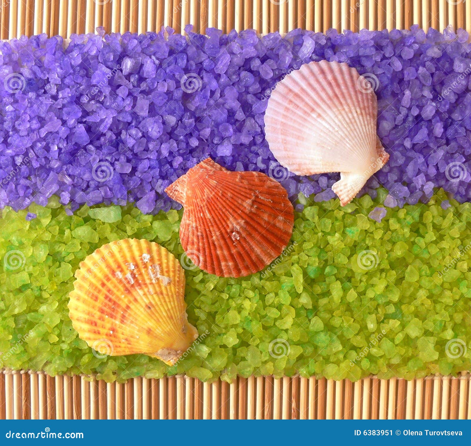 Sea shells on sea salt stock image. Image of lifestyle - 6383951