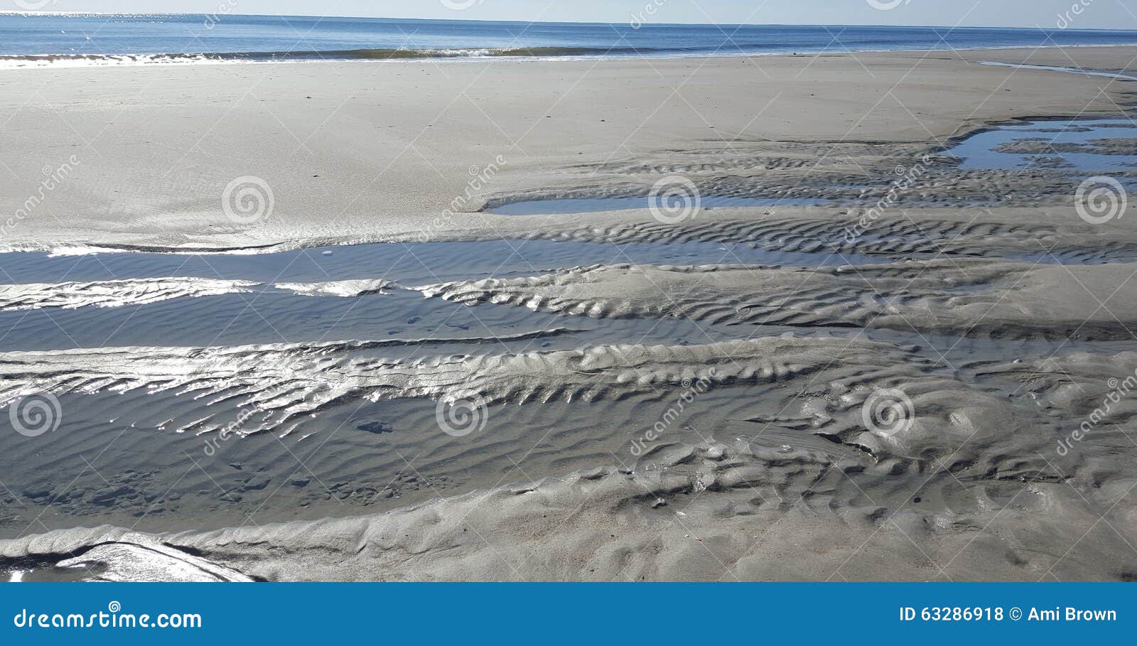 Sea Shells Sand Stock Images - 24,924 Photos