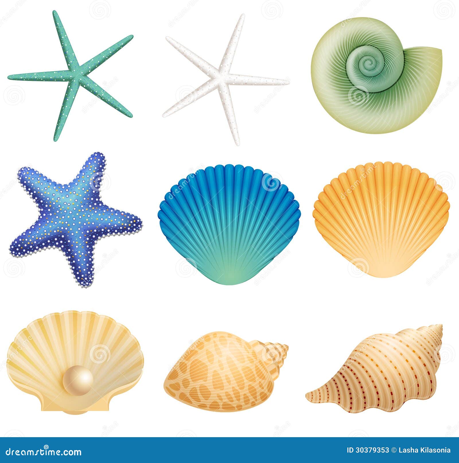 Sea shells and sea star stock illustration. Illustration of animal ...