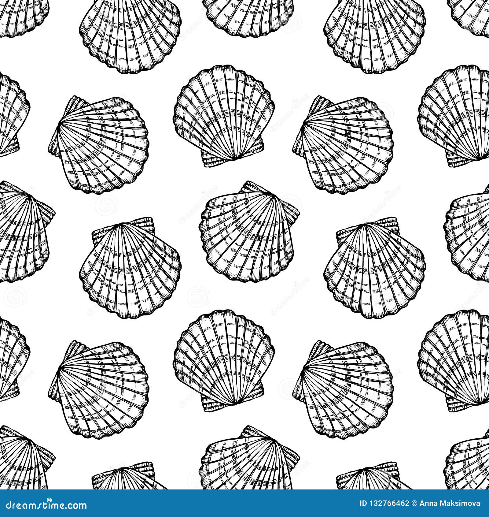 Sea Shells Seamless Vector Pattern Stock Vector - Illustration of ...