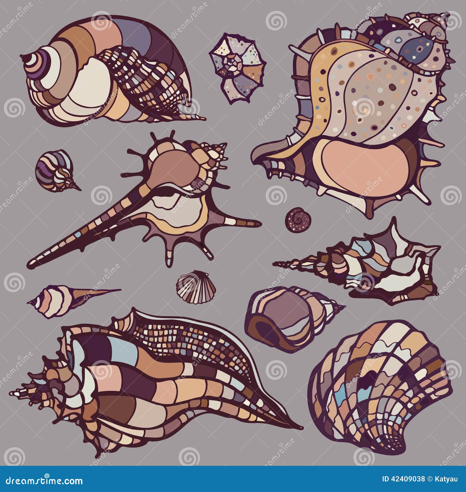 Sea shells set. stock vector. Illustration of ocean, aquarium - 42409038