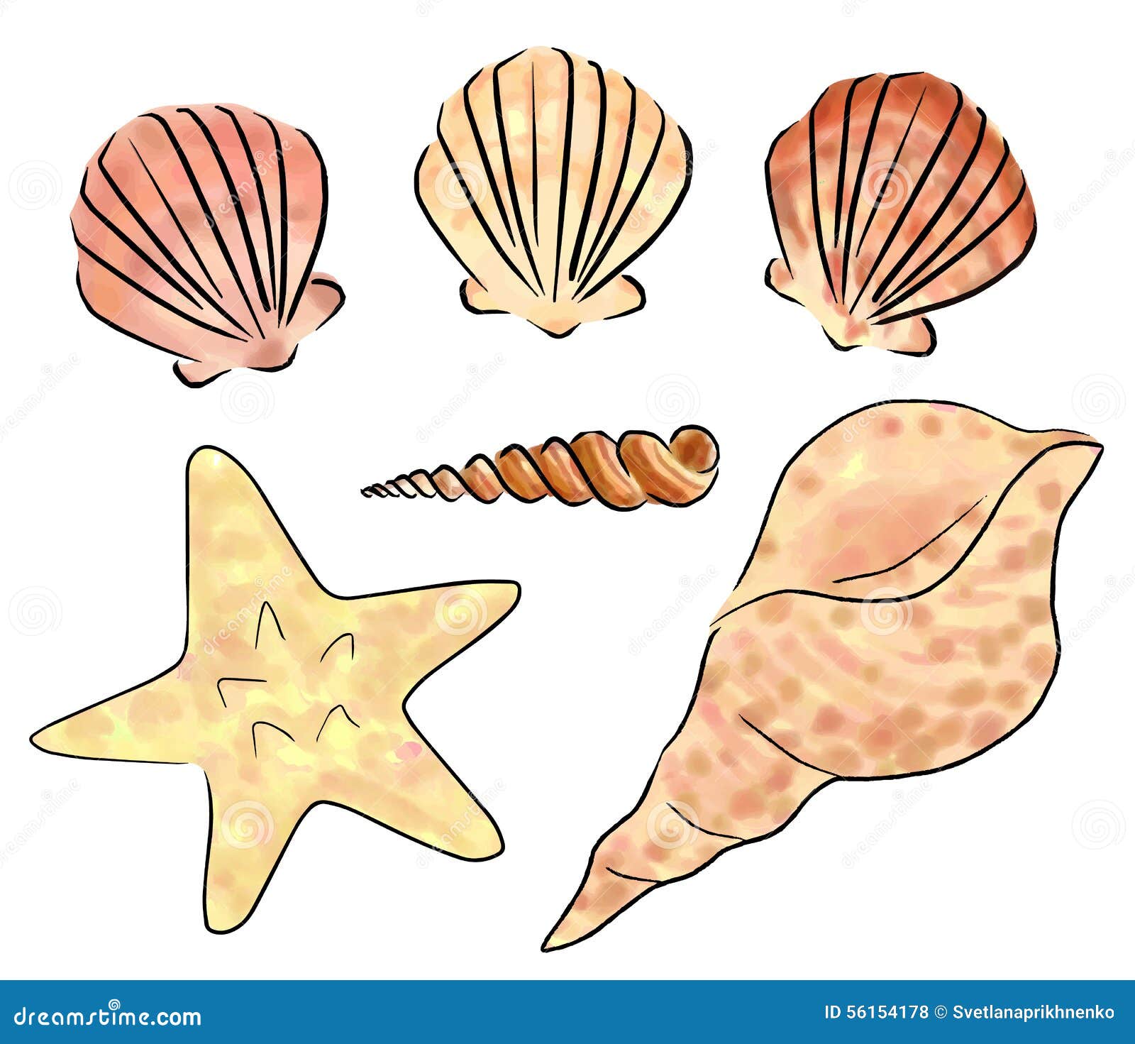Sea shells set stock vector. Illustration of design, starfish - 56154178