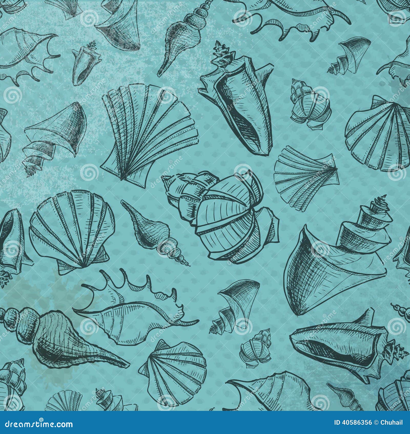 Sea Shells Sketch Set. Hand Drawn Vector Drawing Of Different Types Sea ...