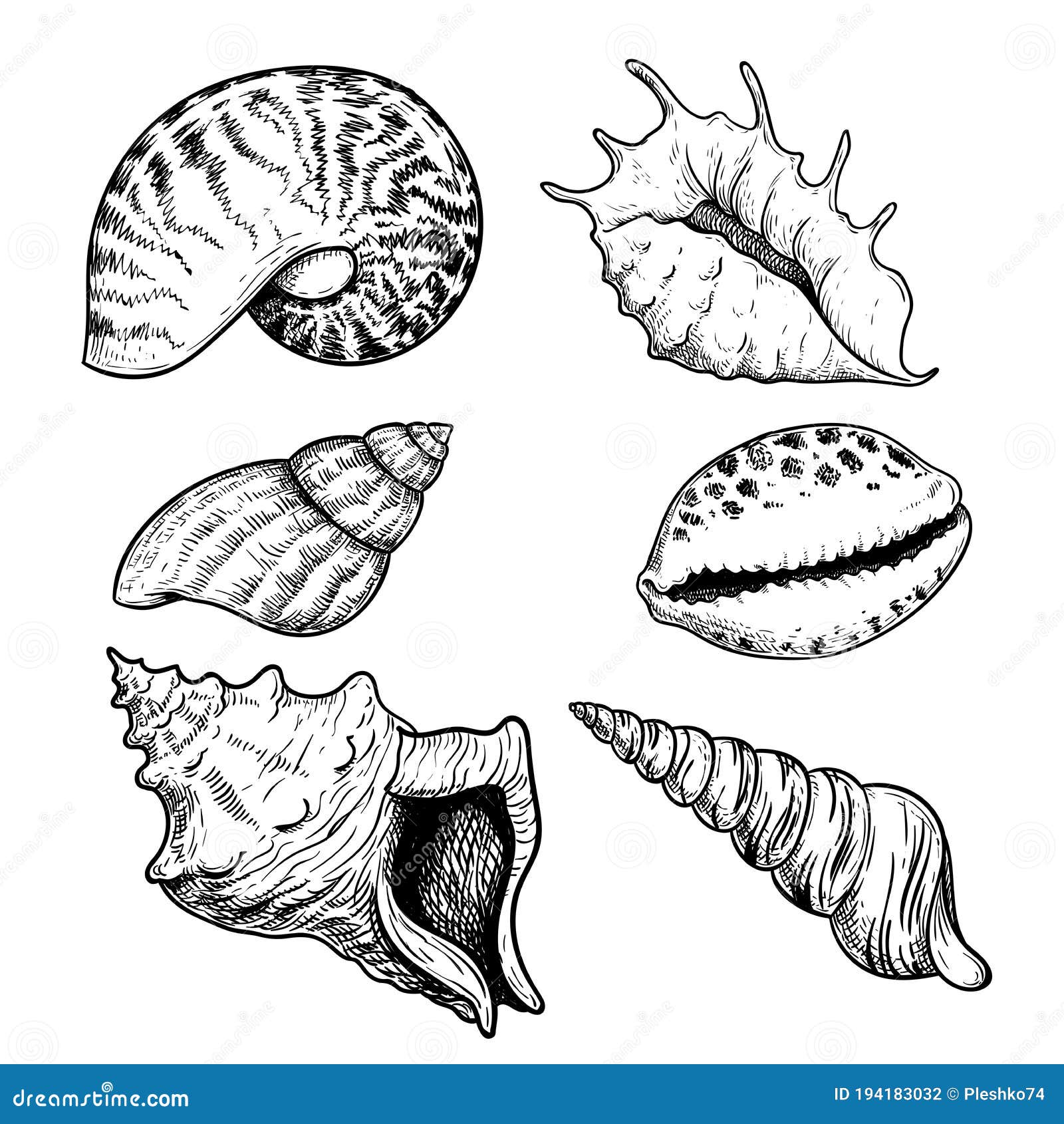 Sea Shells Sketch Set. Hand Drawn Vector Drawing of Different Types Sea ... Sea Shells Sketch Set. Hand Drawn Vector Drawing of Different Types Sea ...