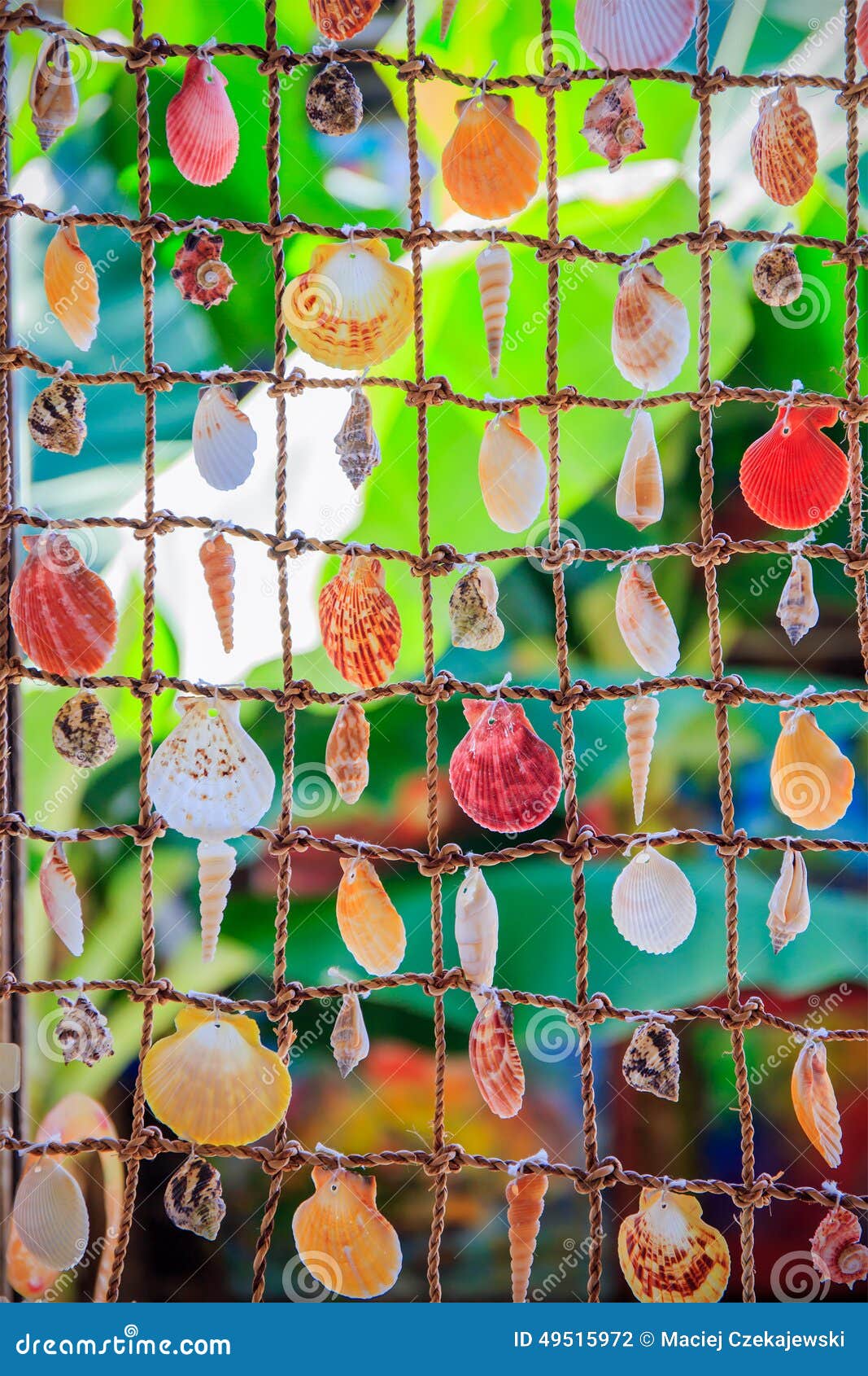 Sea shells souvenirs stock photo. Image of sell, culture - 49515972