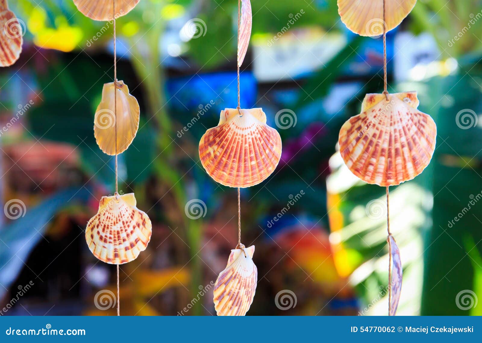 Sea shells souvenirs stock photo. Image of marketplace - 54770062