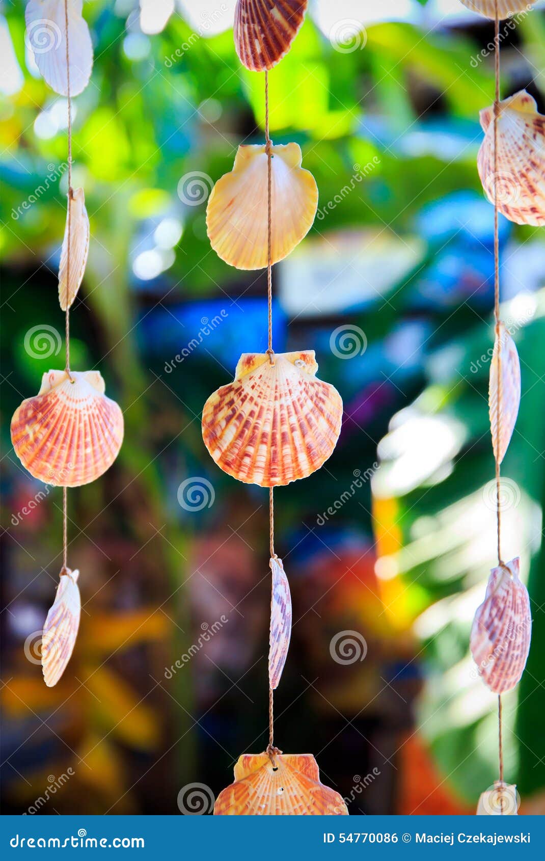 Sea shells souvenirs stock photo. Image of marketplace - 54770086