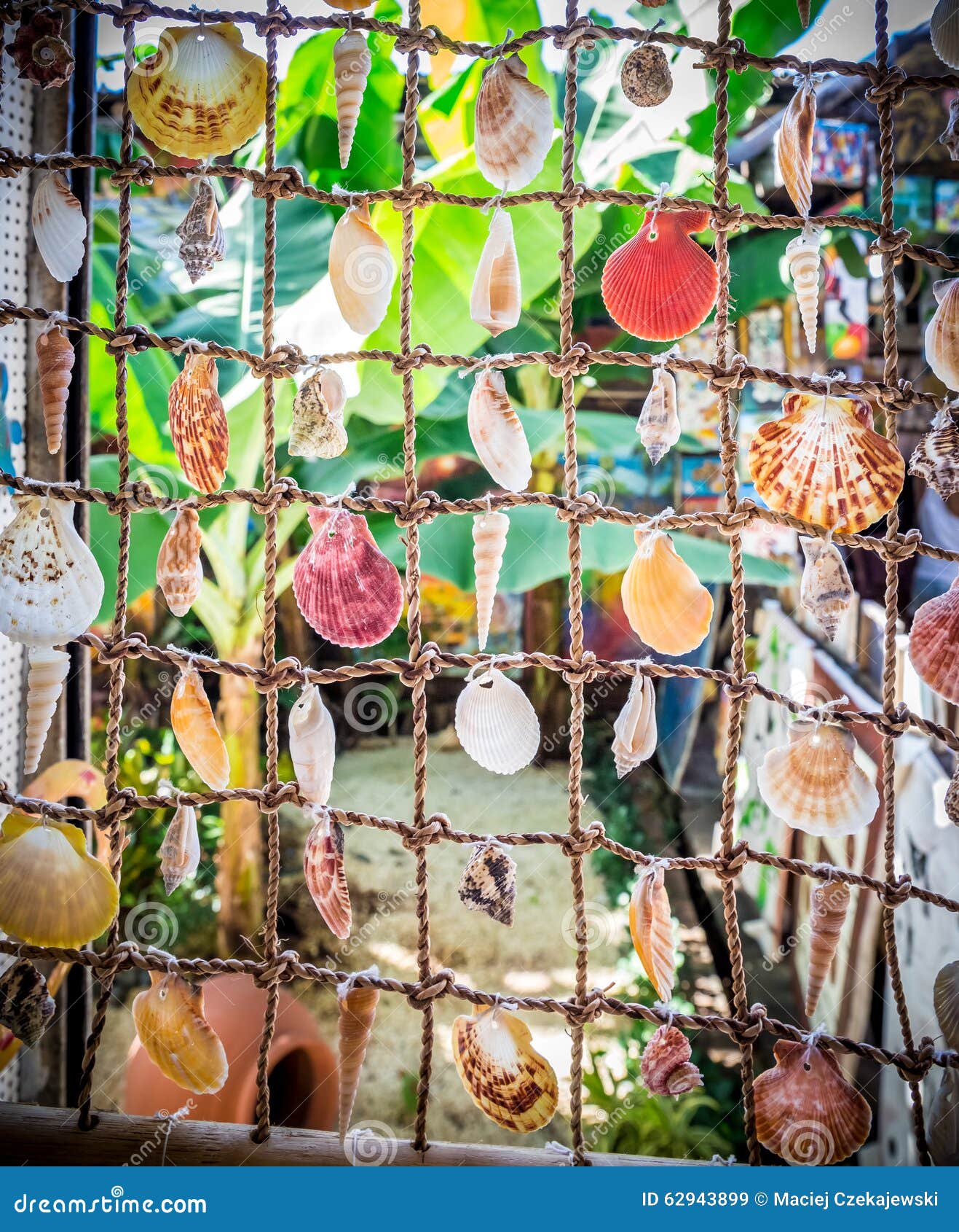 Sea shells souvenirs stock image. Image of decoration - 62943899