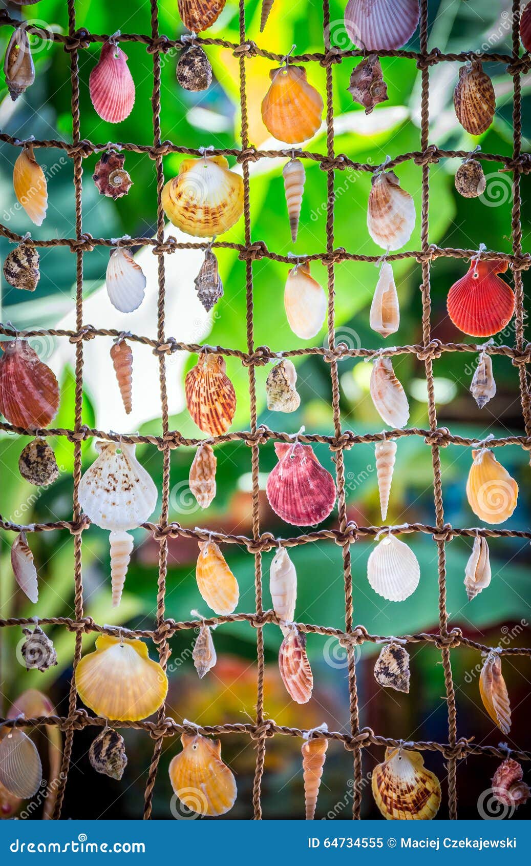 Sea shells souvenirs stock image. Image of dominicana - 64734555