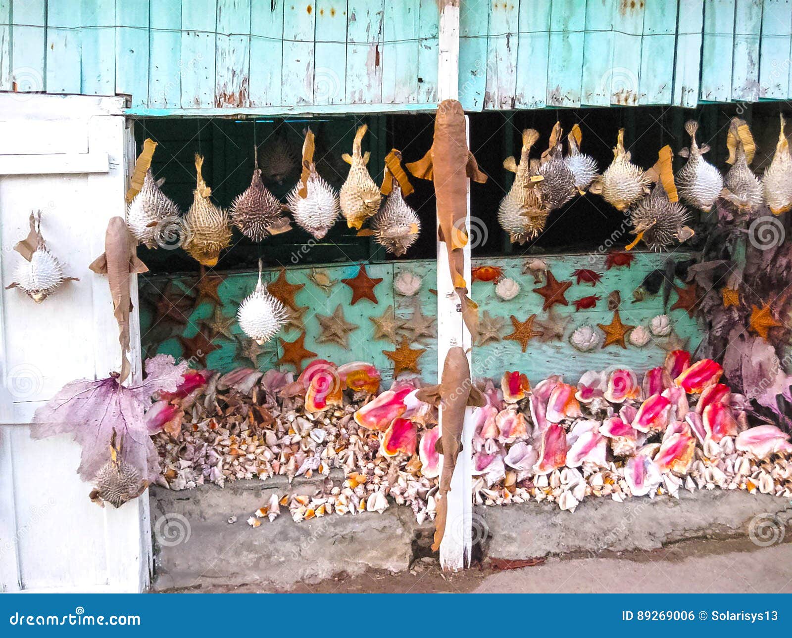 Sea Shells Souvenirs Somewhere in Dominican Republic Stock Photo ...