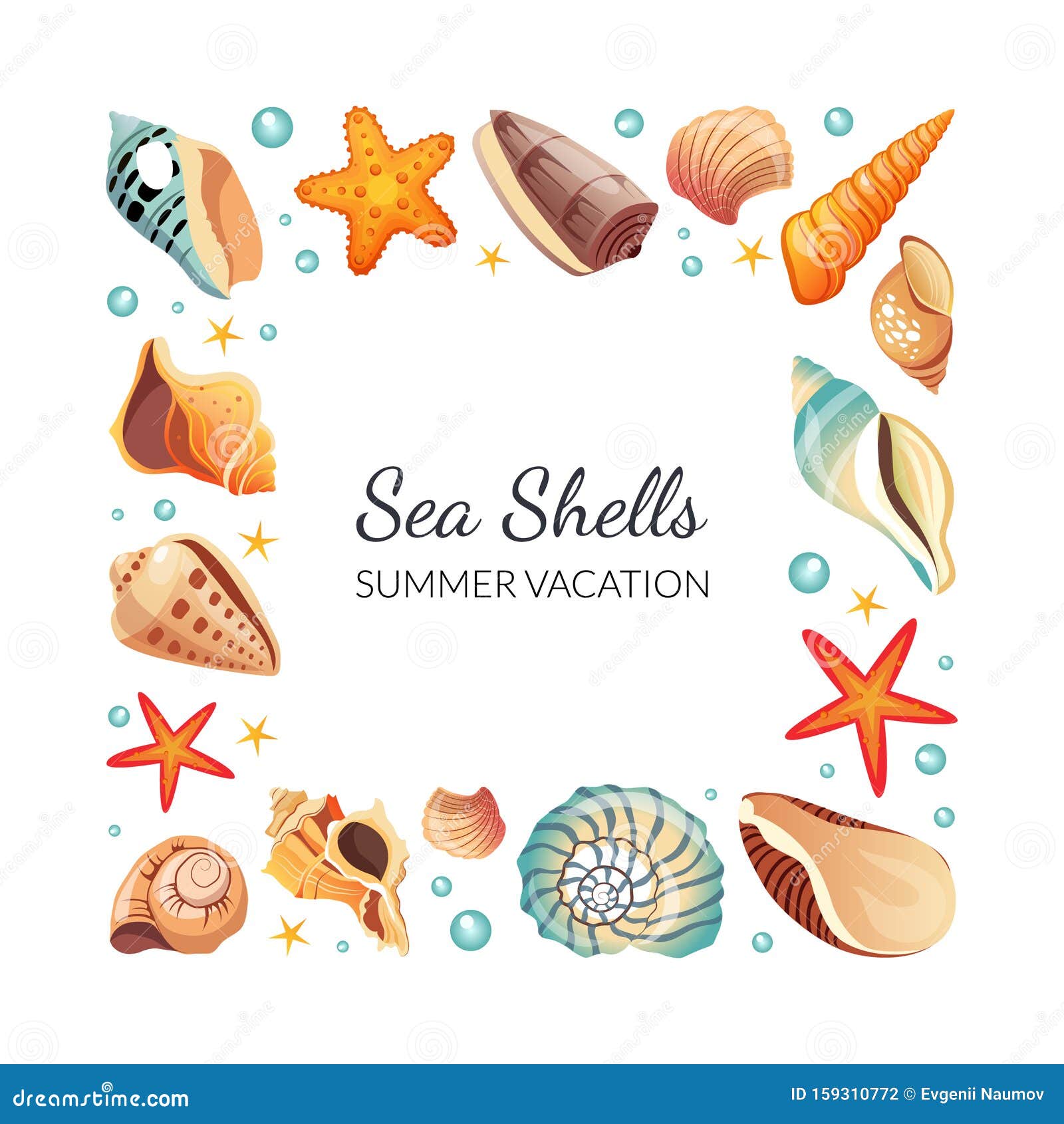 Sea Shells Square Frame, Seashells Border Template with Space for Text ...