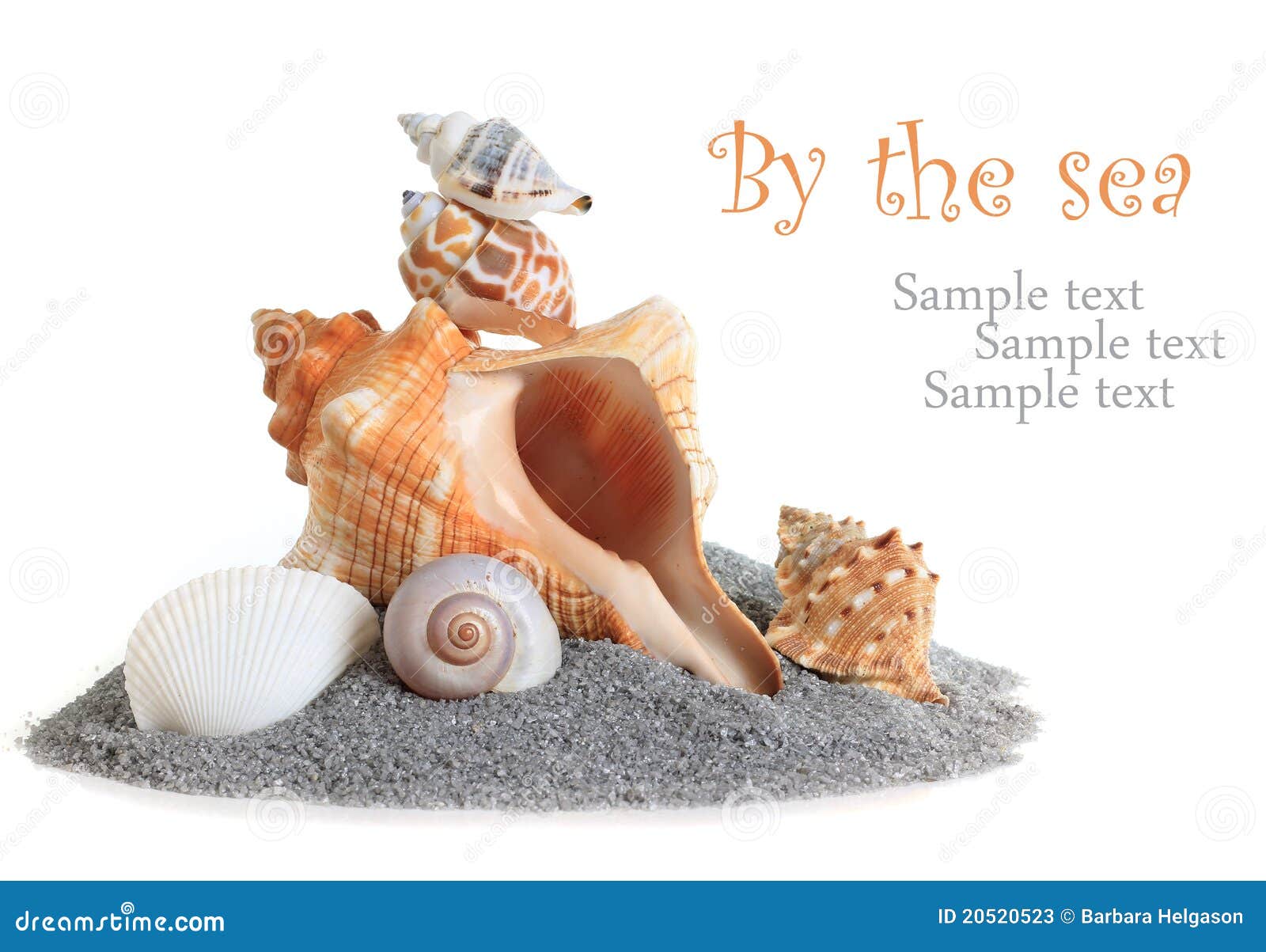 Sea shells stacked stock image. Image of calm, empty - 20520523