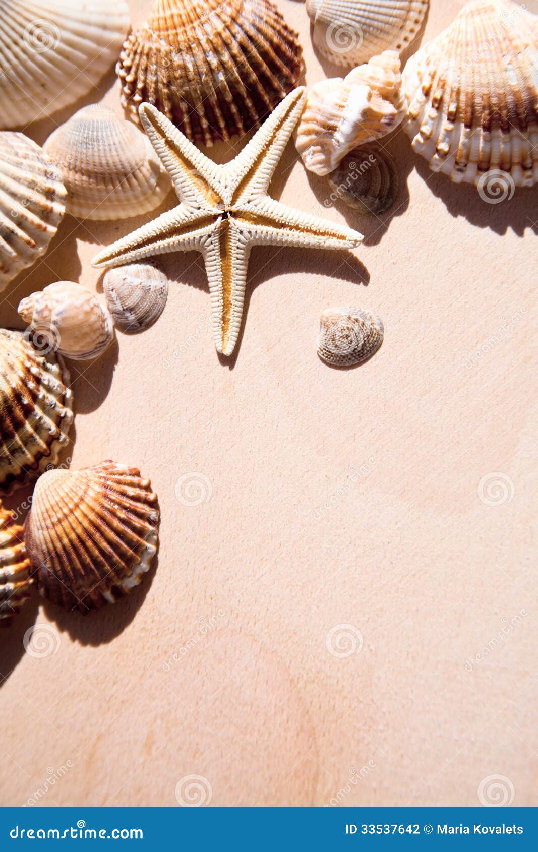 Sea Shells and Star Closeup Stock Photo - Image of seashell, frame ...