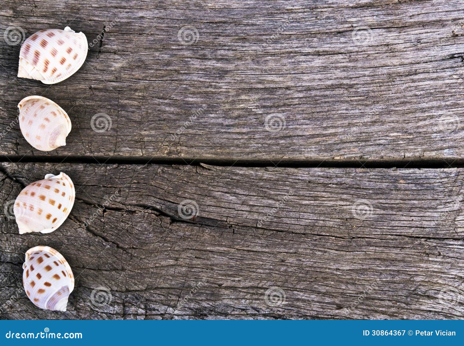 Sea Shells Starfish Frame Vintage Old E Wood Stock Photos - Free ...