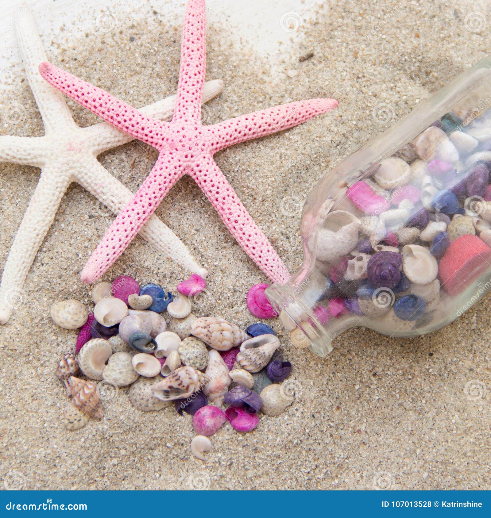 Sea Shells and Starfish on Sand Stock Photo - Image of beach, pink ...