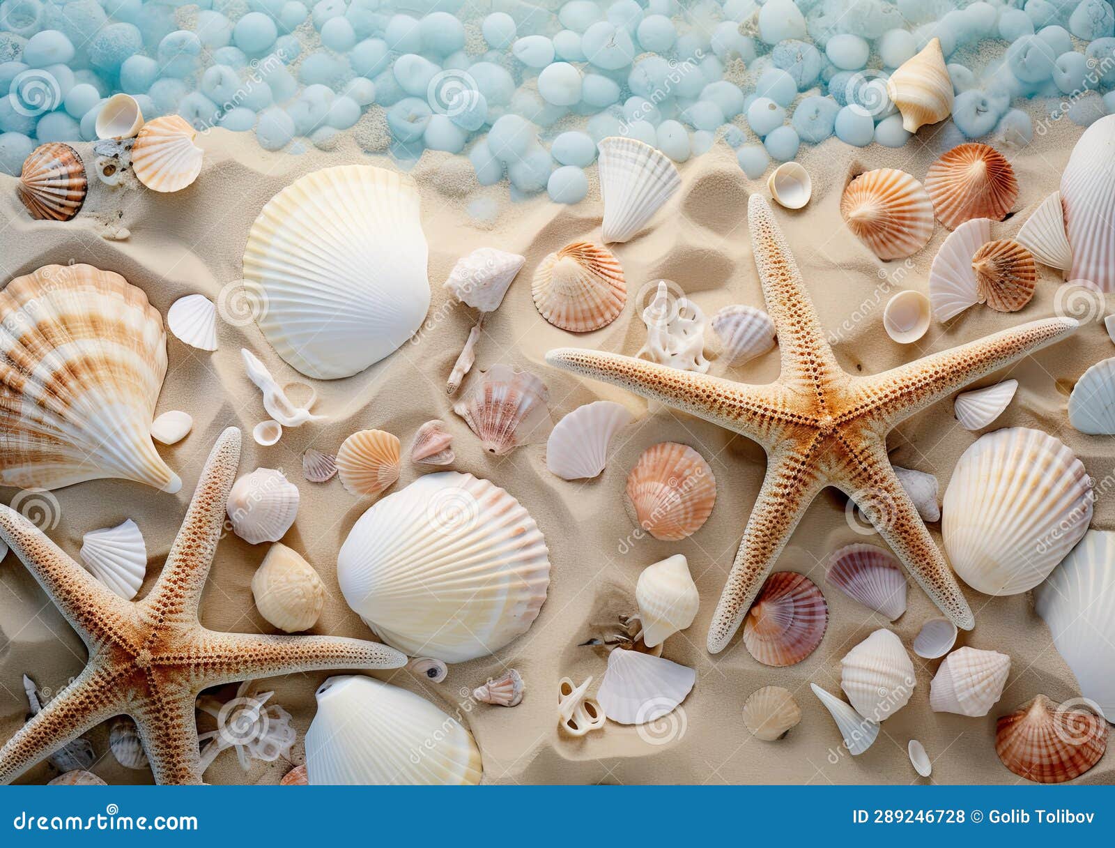 A Mixture of Shells and Starfish on the Beach Stock Illustration ...