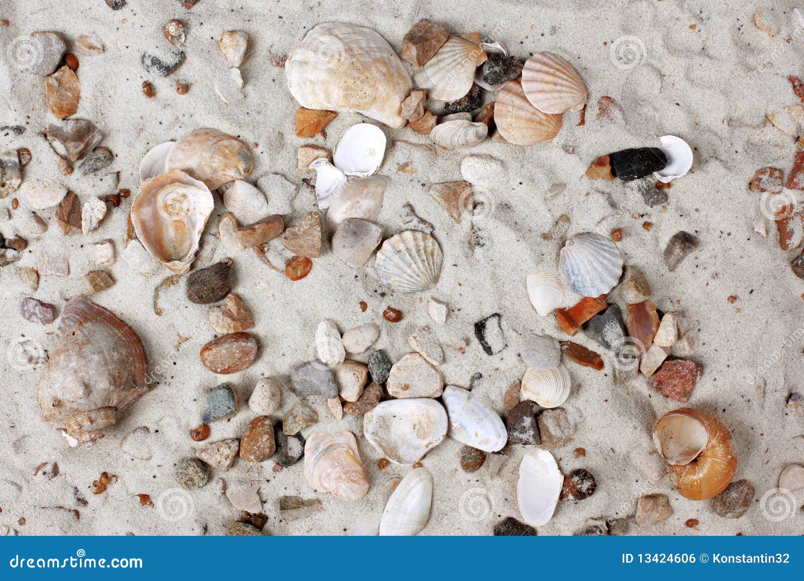 Sea Shells and stones stock photo. Image of exotic, beauty - 13424606