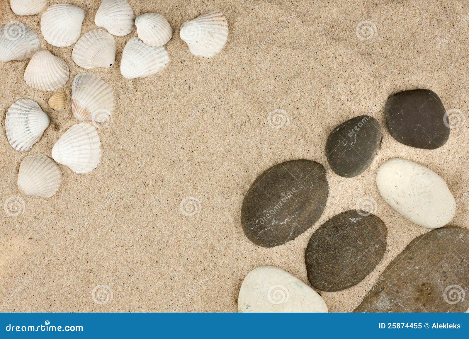 Sea shells,stones stock image. Image of coast, sand, fragile - 25874455