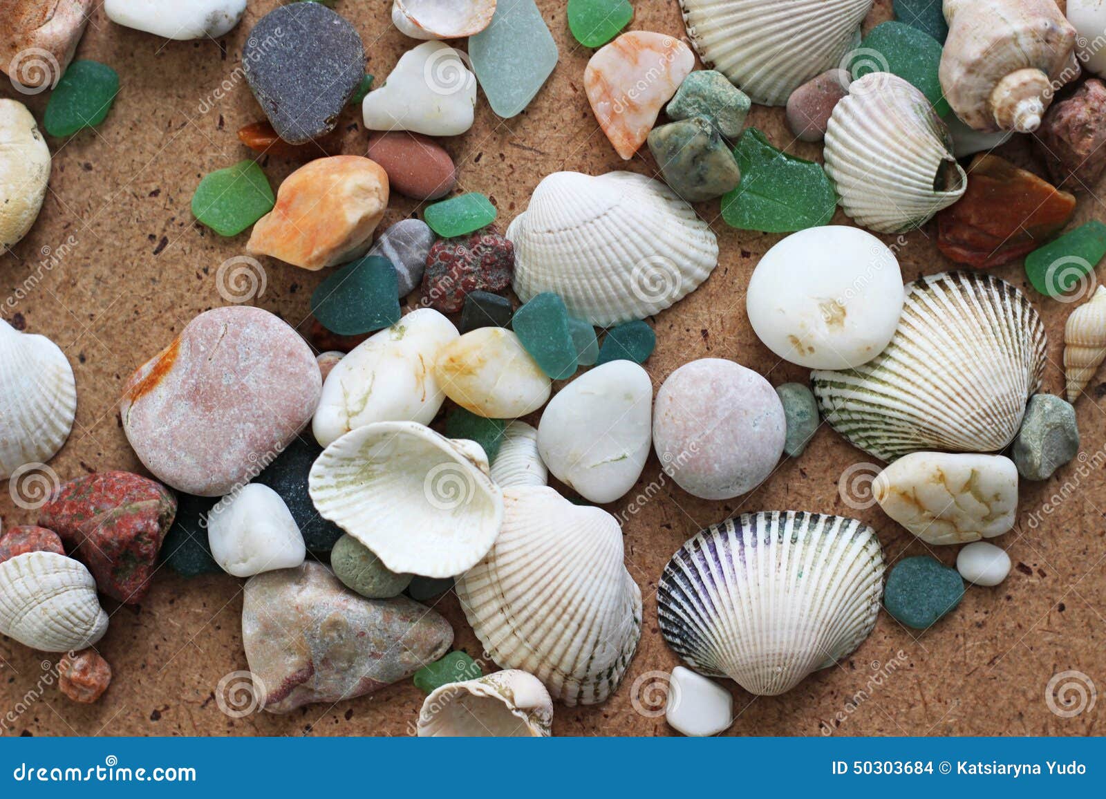 Sea shells and stones stock photo. Image of card, texture - 50303684