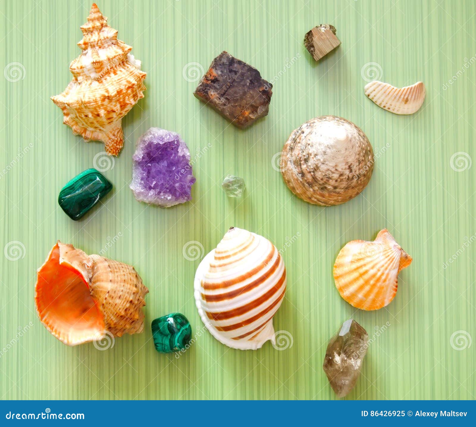 Sea Shells and Stones on Green Background Stock Image - Image of shiny ...