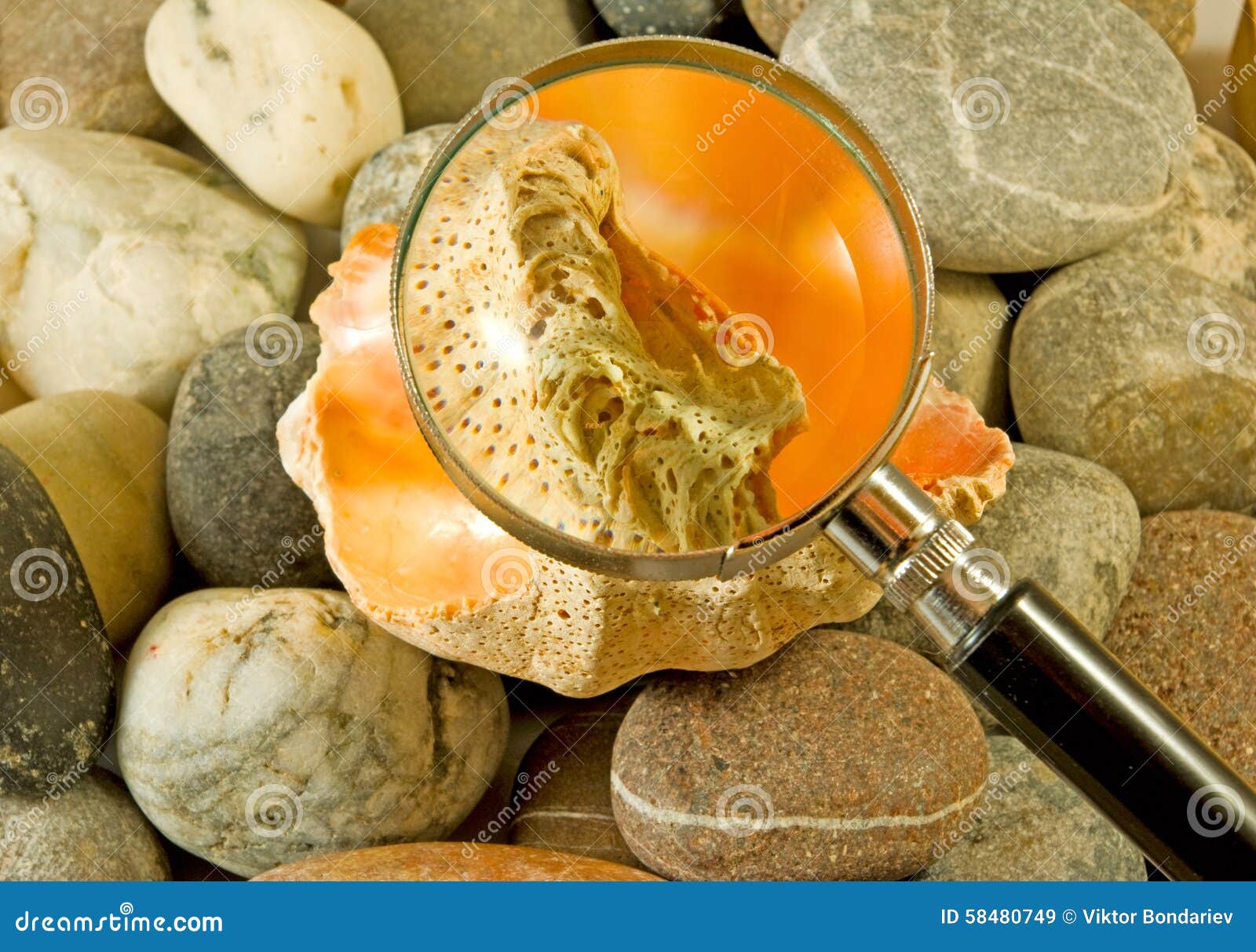 Sea Shells, Stones and Magnifier Stock Image - Image of background ...