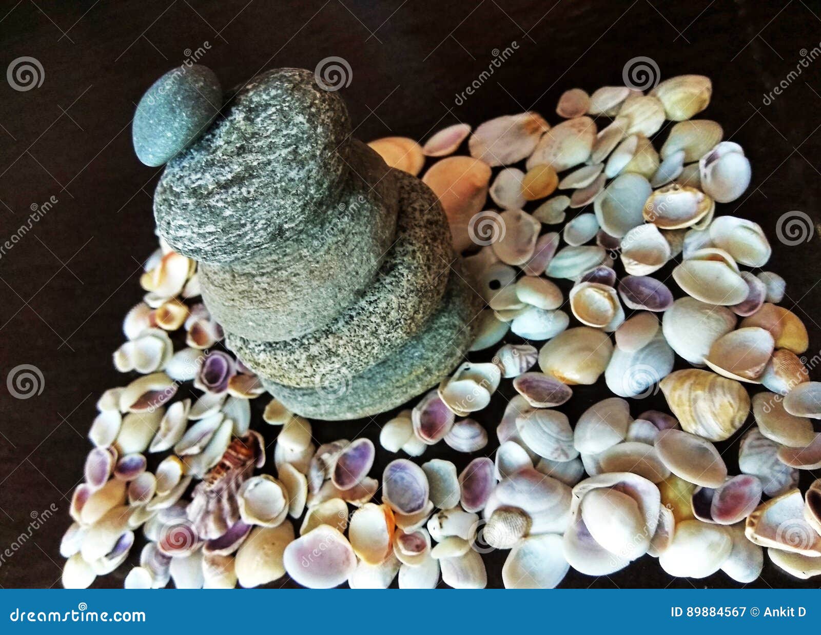 Sea shells and stones stock image. Image of size, shells - 89884567
