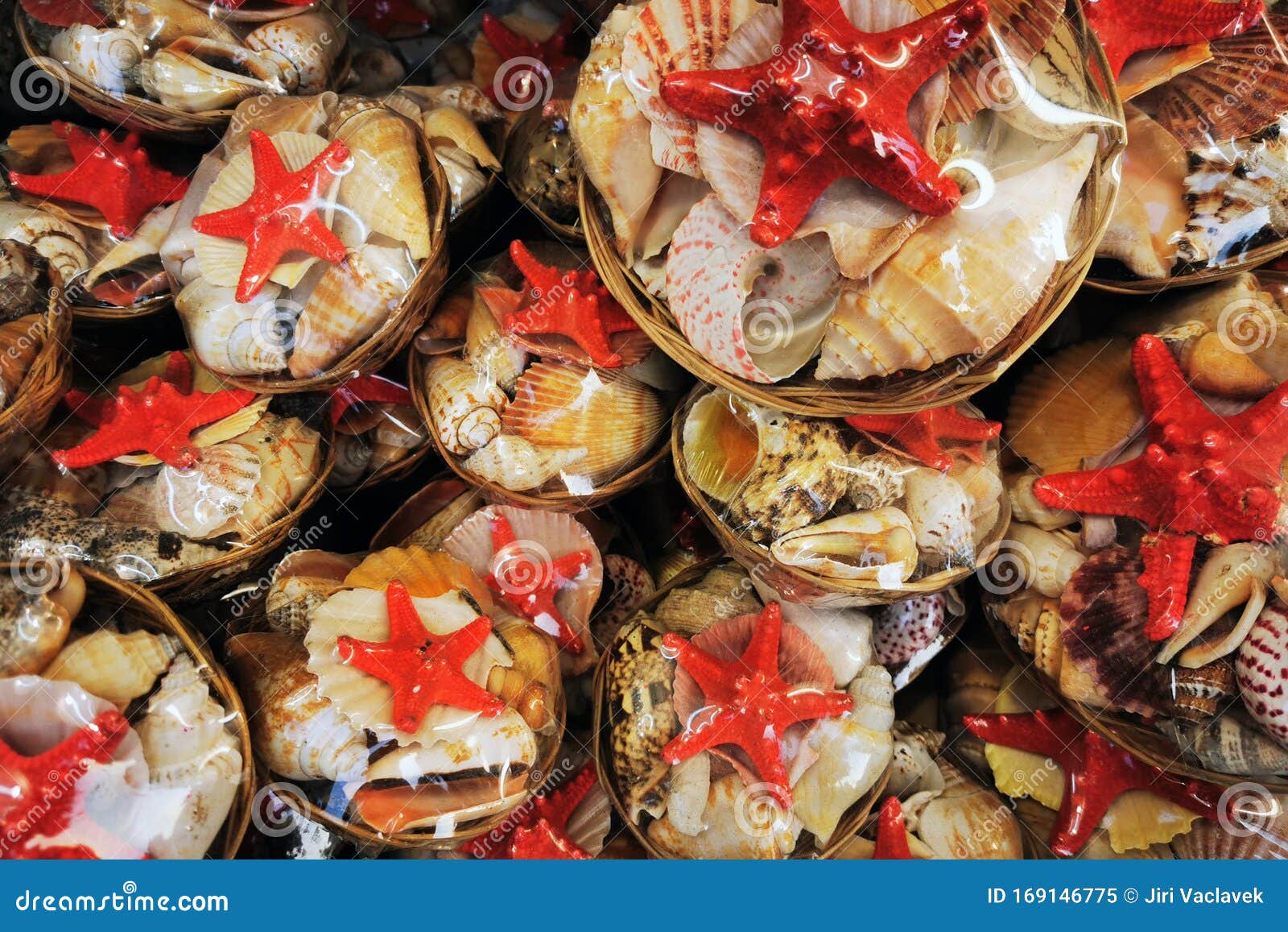 Sea shells texture stock image. Image of gorgeous, lots - 169146775