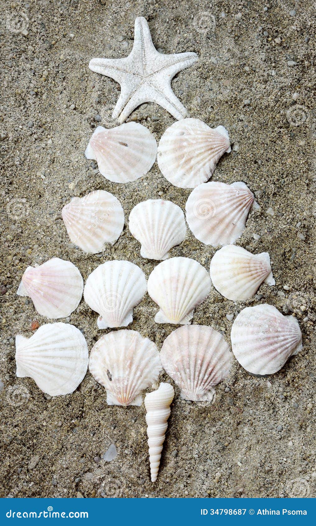 Sea shells in tree shape stock image. Image of beach - 34798687