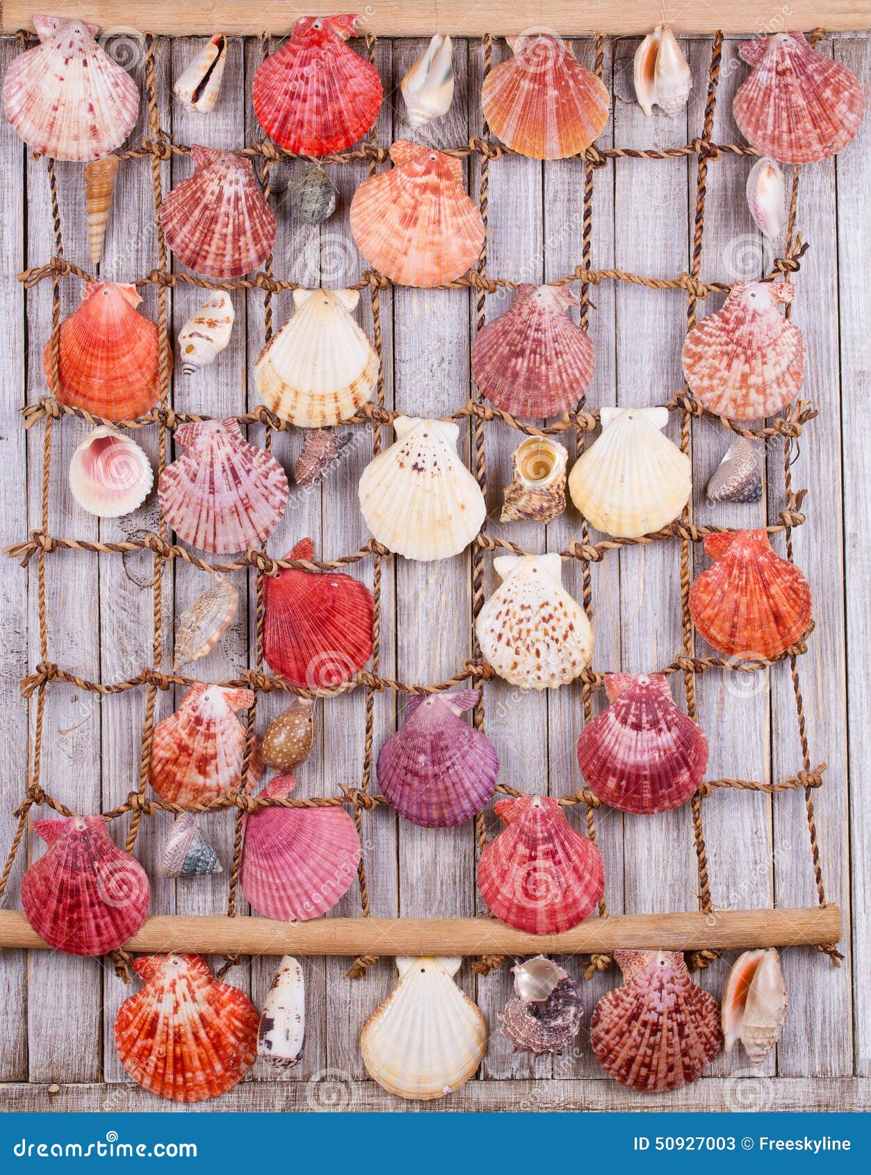 Sea Shells. Tropical Background. Seamless Pattern for a Design Stock ...