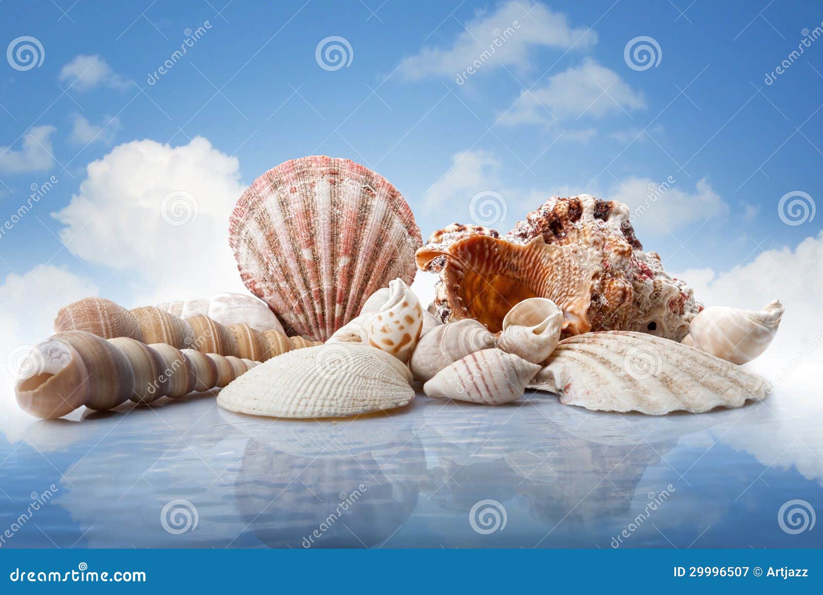Sea Shells In Water Against Blue Sky Royalty Free Stock Photography ...