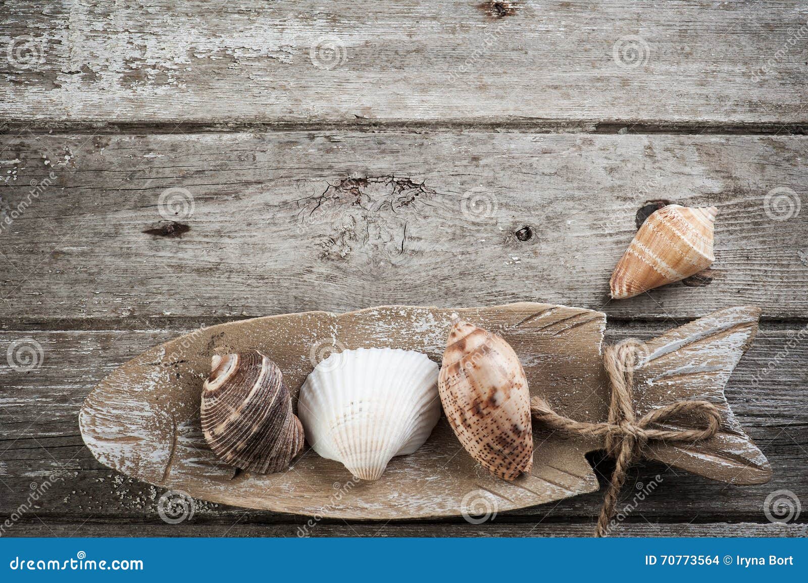 Sea Shells on Wooden Rustic Background Stock Photo - Image of chic ...