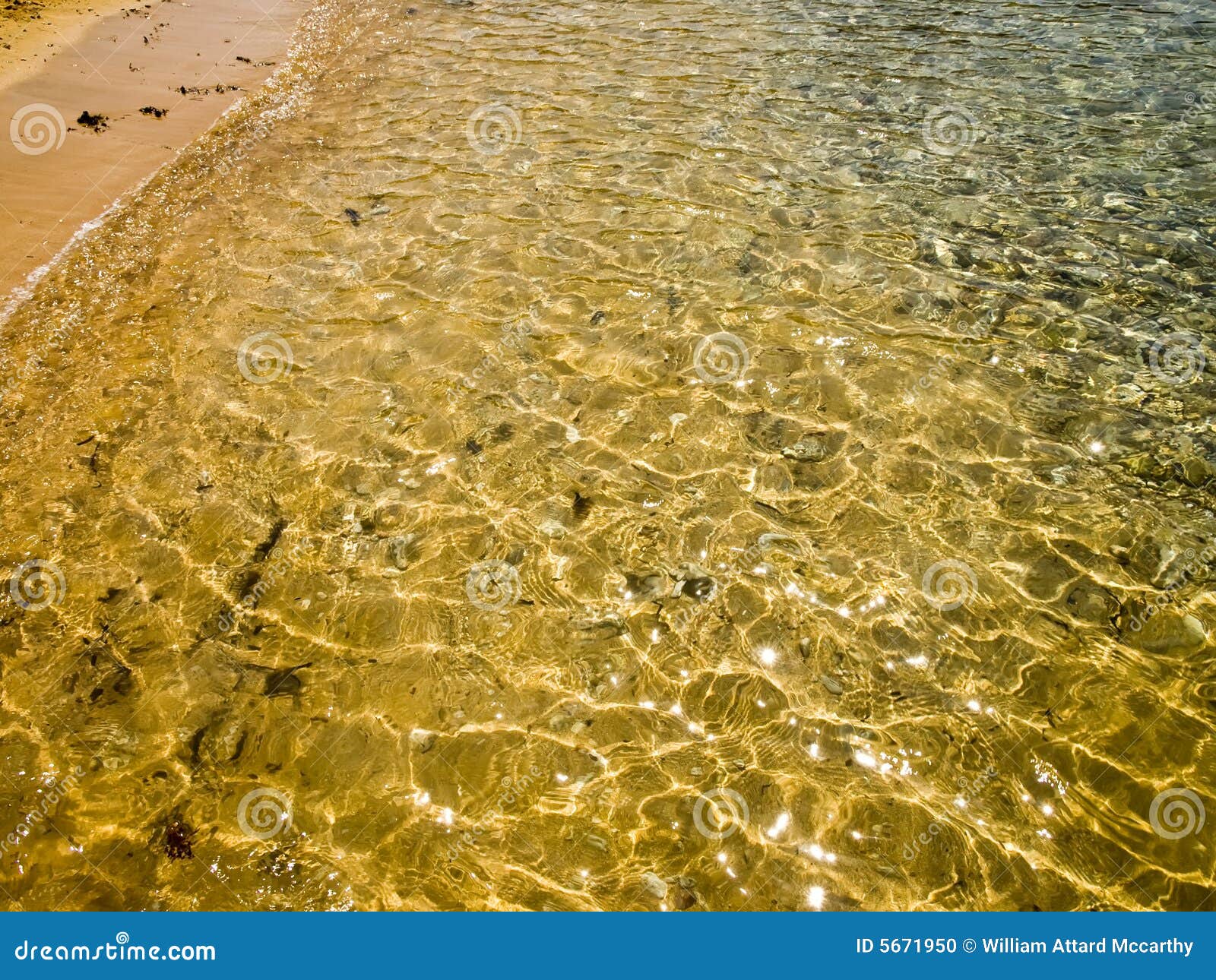 Sea Shimmer stock photo. Image of jetsam, malta, coast - 5671950