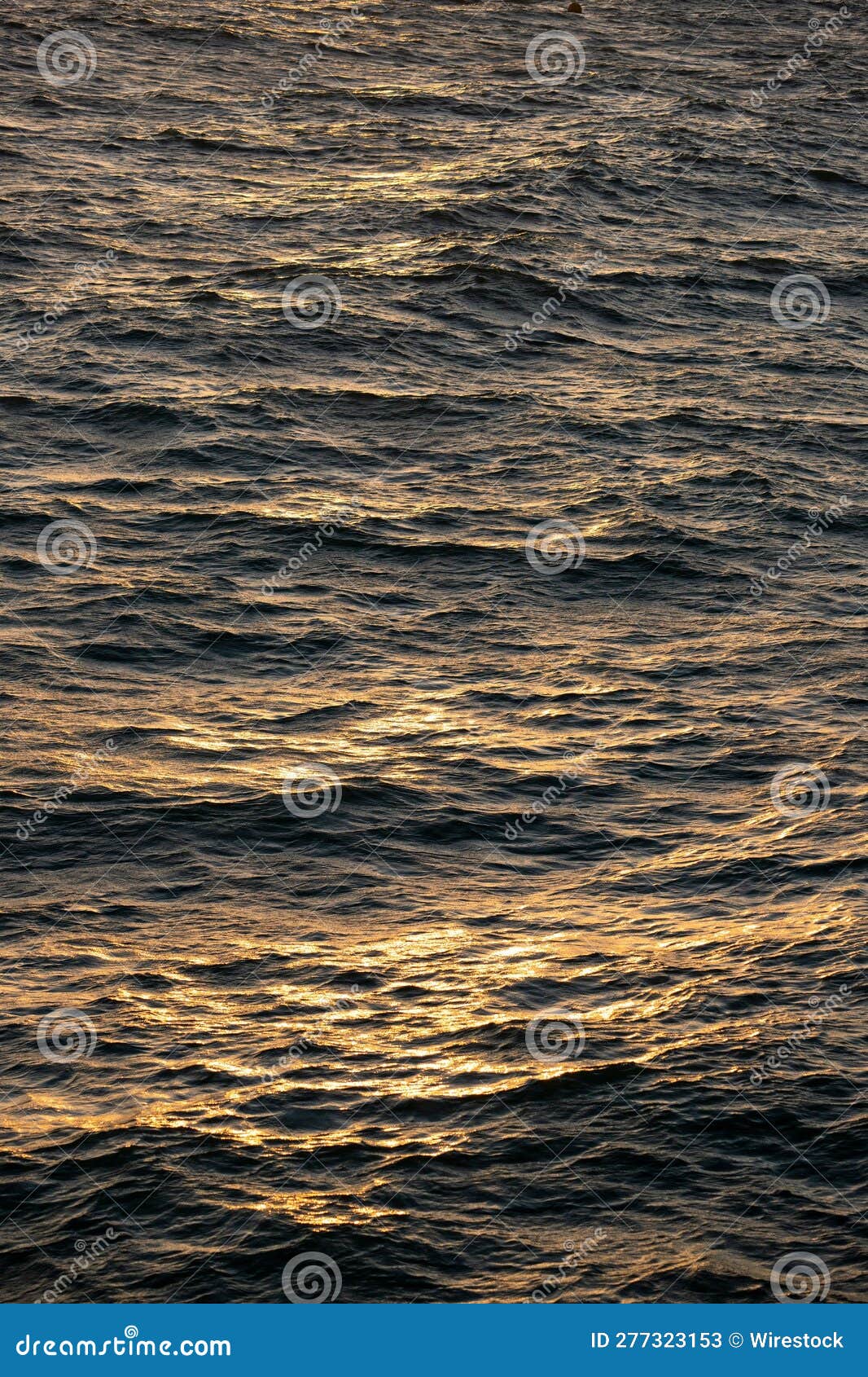 The Sea Shimmered in the Sun Stock Image - Image of seascape, natural ...