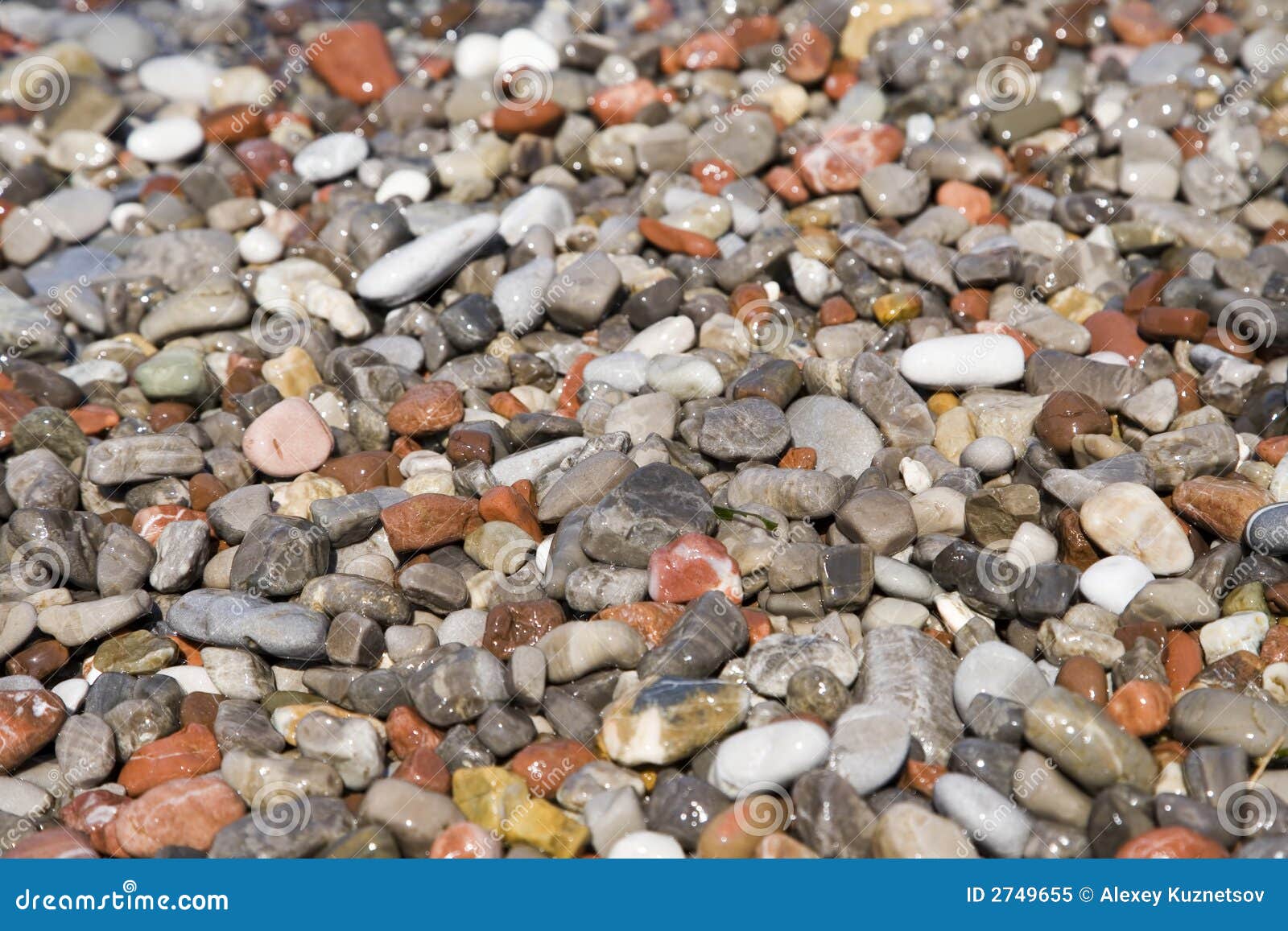 Sea shingle stock image. Image of natural, nature, seashore - 2749655