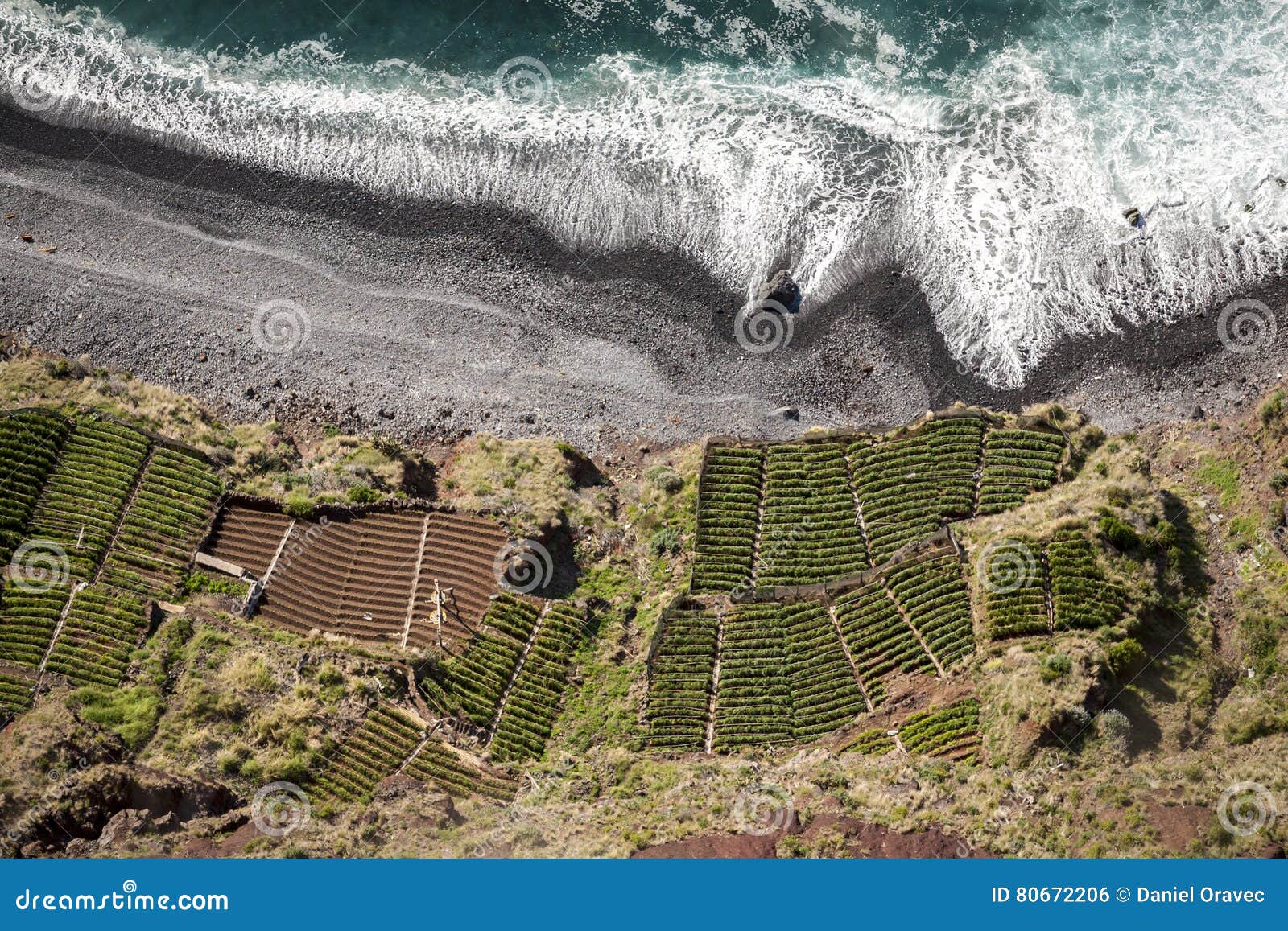 Sea Shore - Beach Top View with Green Fields. Stock Photo - Image of ...