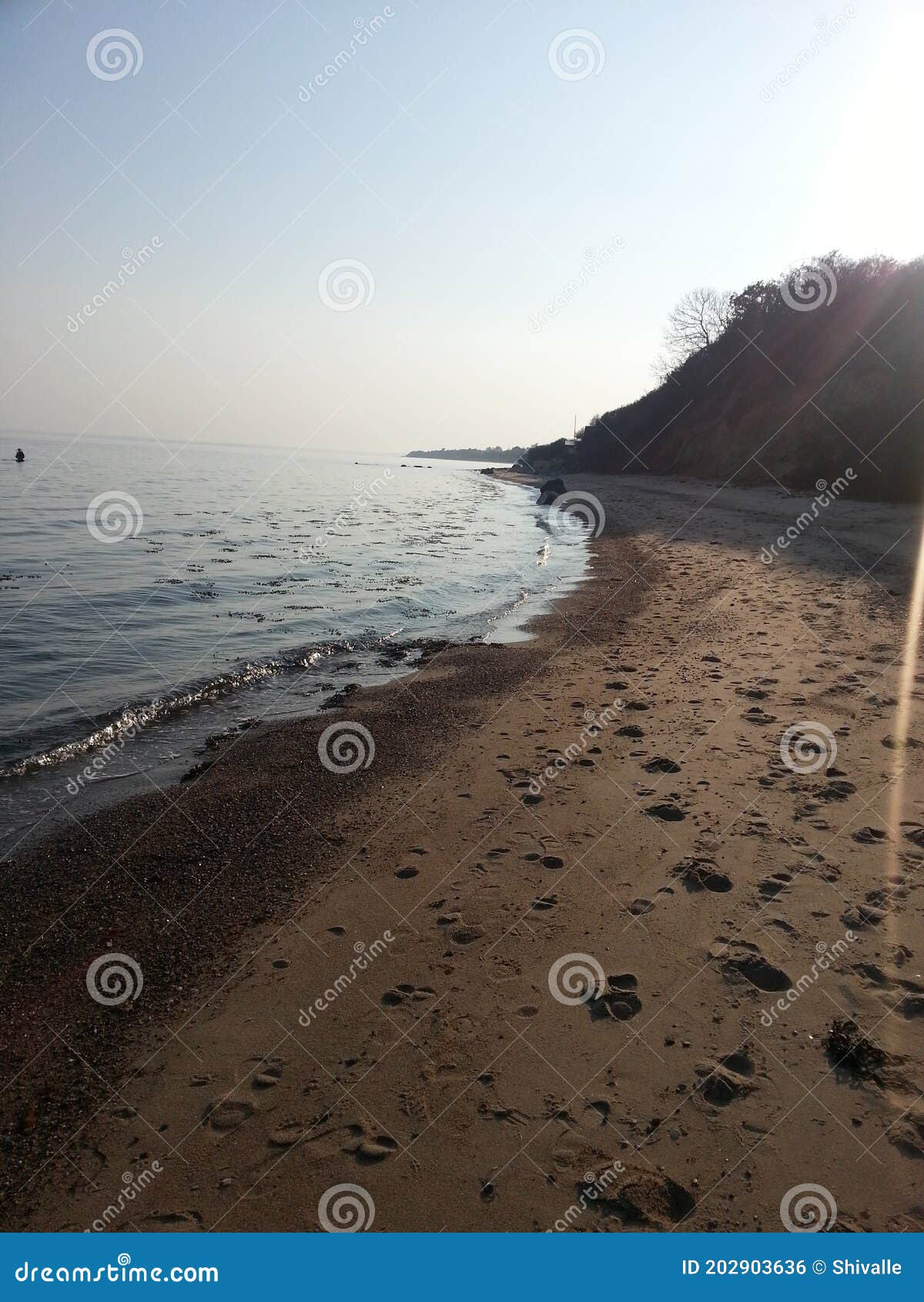 The sea shore of Denmark stock photo. Image of coast - 202903636