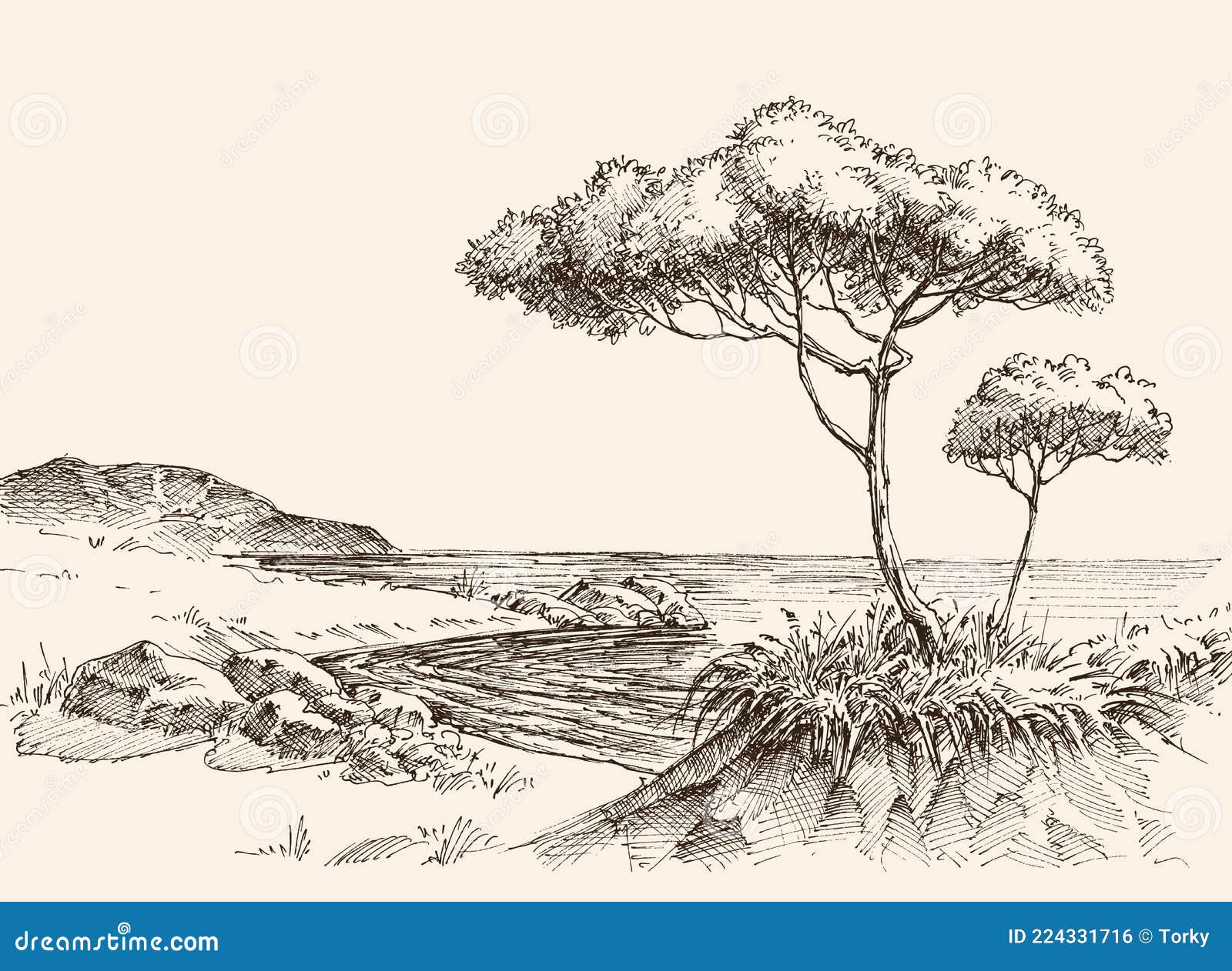 Sea Shore Hand Drawing, Sea View Stock Vector - Illustration of tree ...