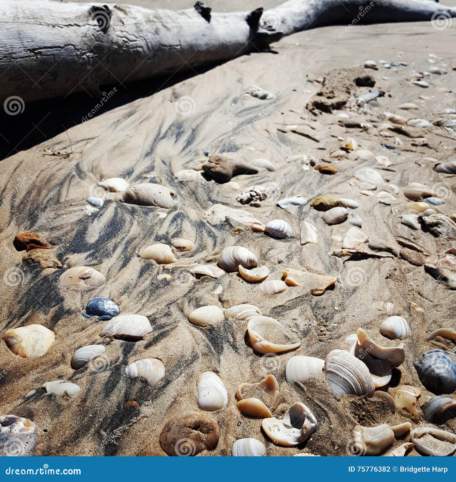 Sea shore stock photo. Image of high, shore, tide, morning - 75776382