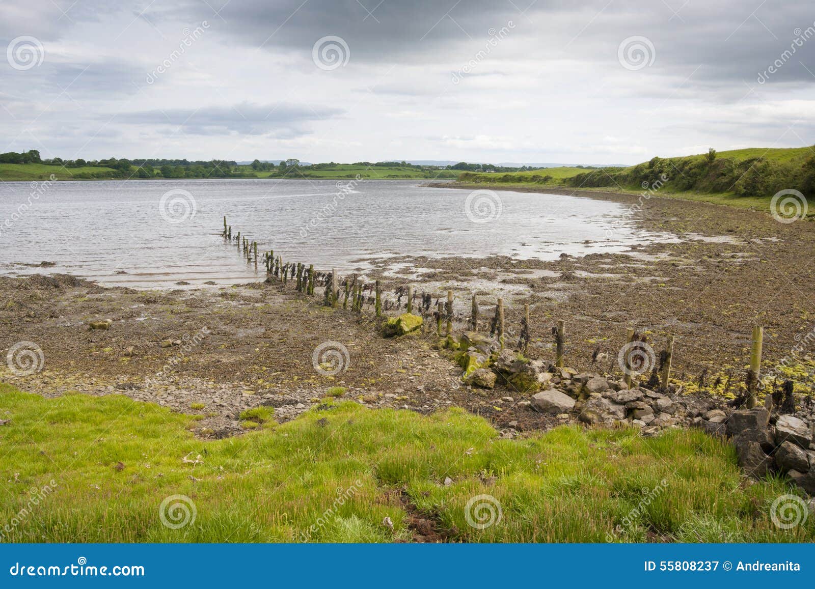 Sea shore with poles stock image. Image of bright, coastal - 55808237