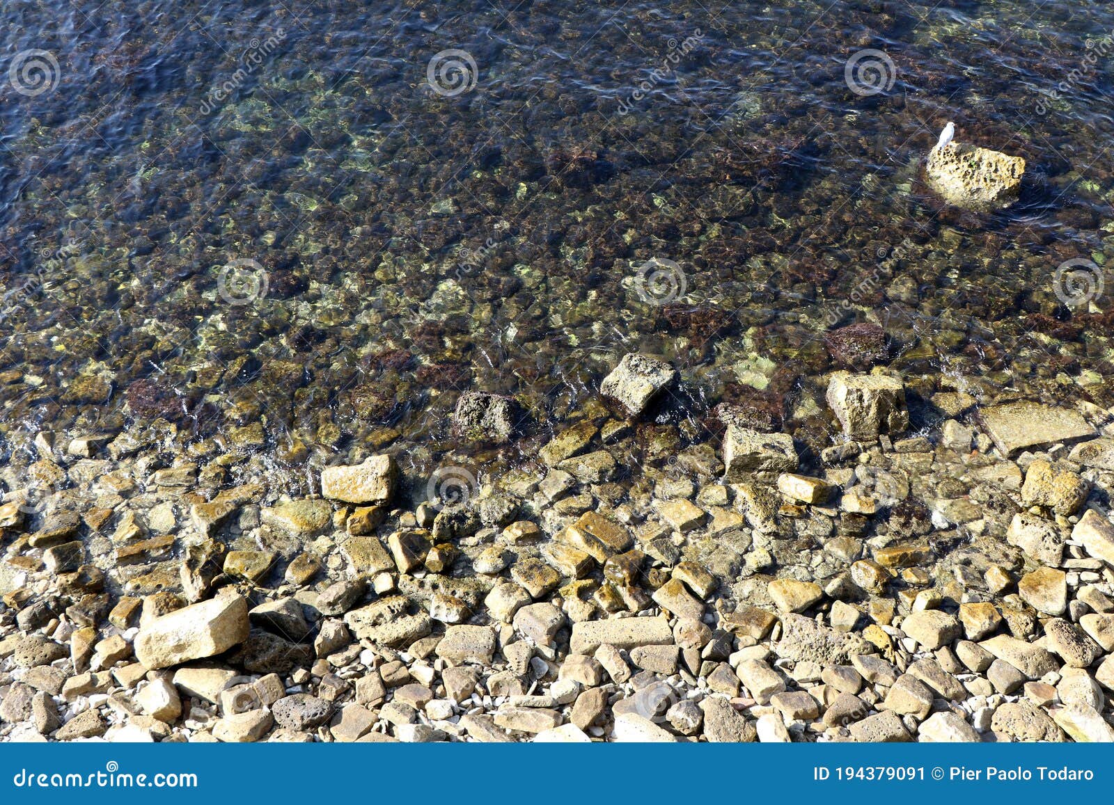 Sea shore with stones stock image. Image of natural - 194379091
